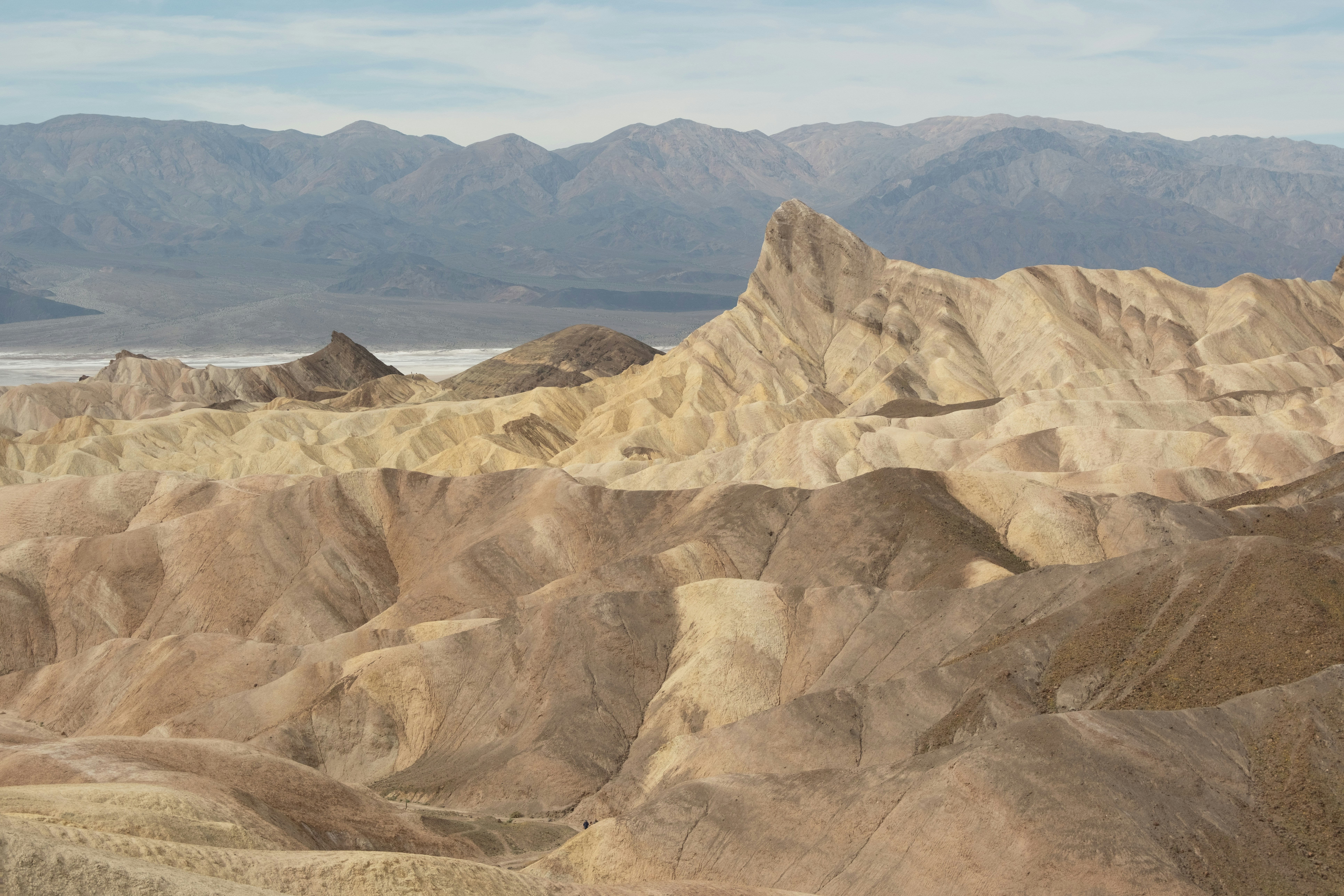 Sandstone Echoes: A Quiet Ridge Carved by Wind and Time