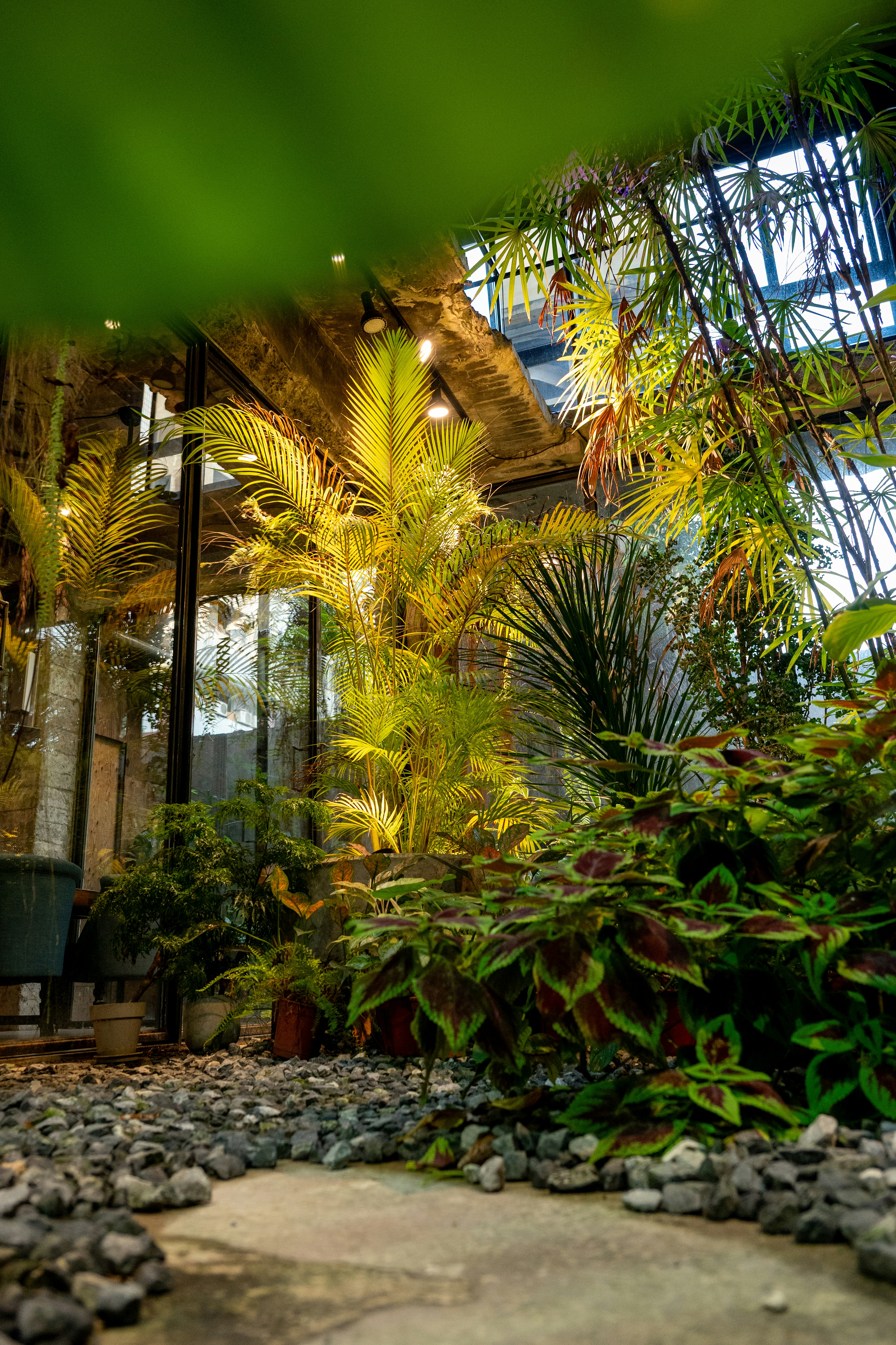 Lush Atrium Sanctuary: Sunlit Foliage by Glass Walls