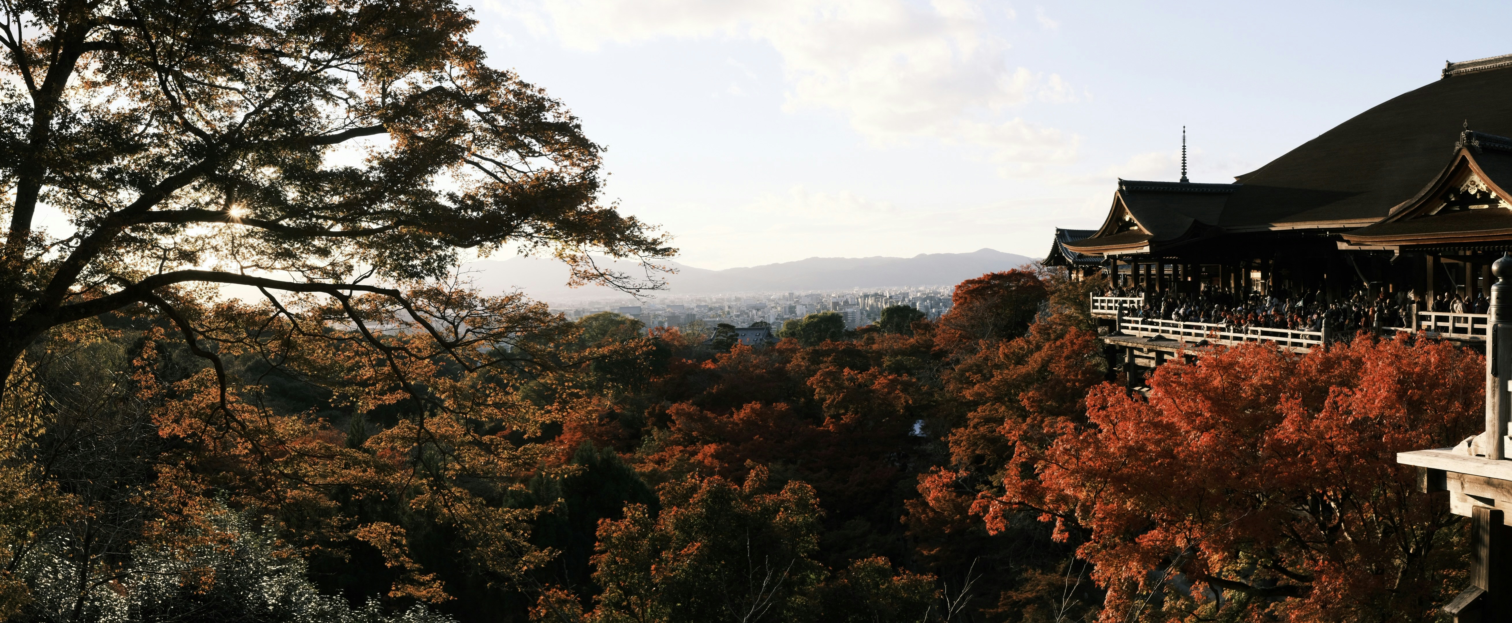Autumn Terrace: A Temple Overlooking Crimson Hills