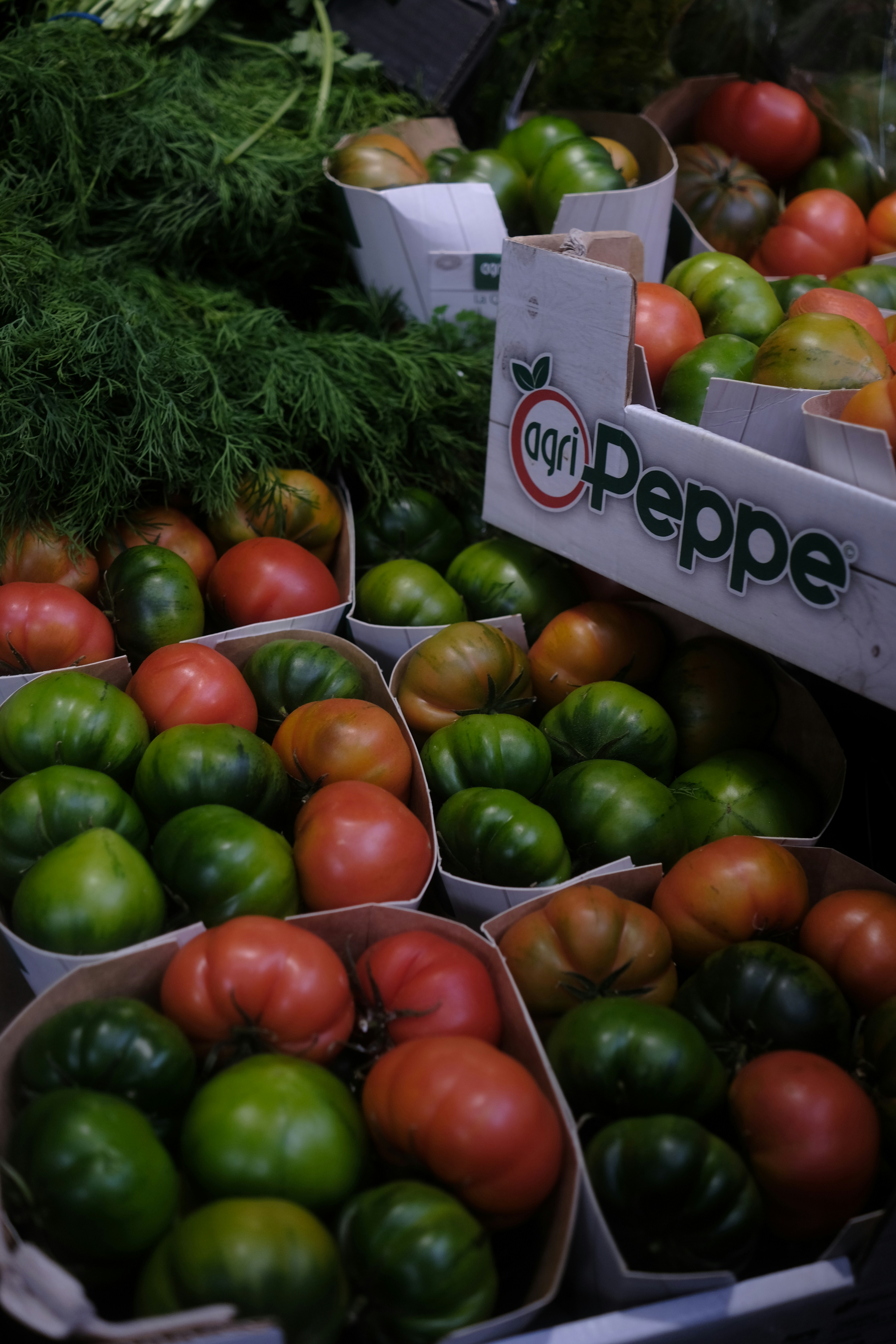 Boxed tomatoes at a bustling market stall