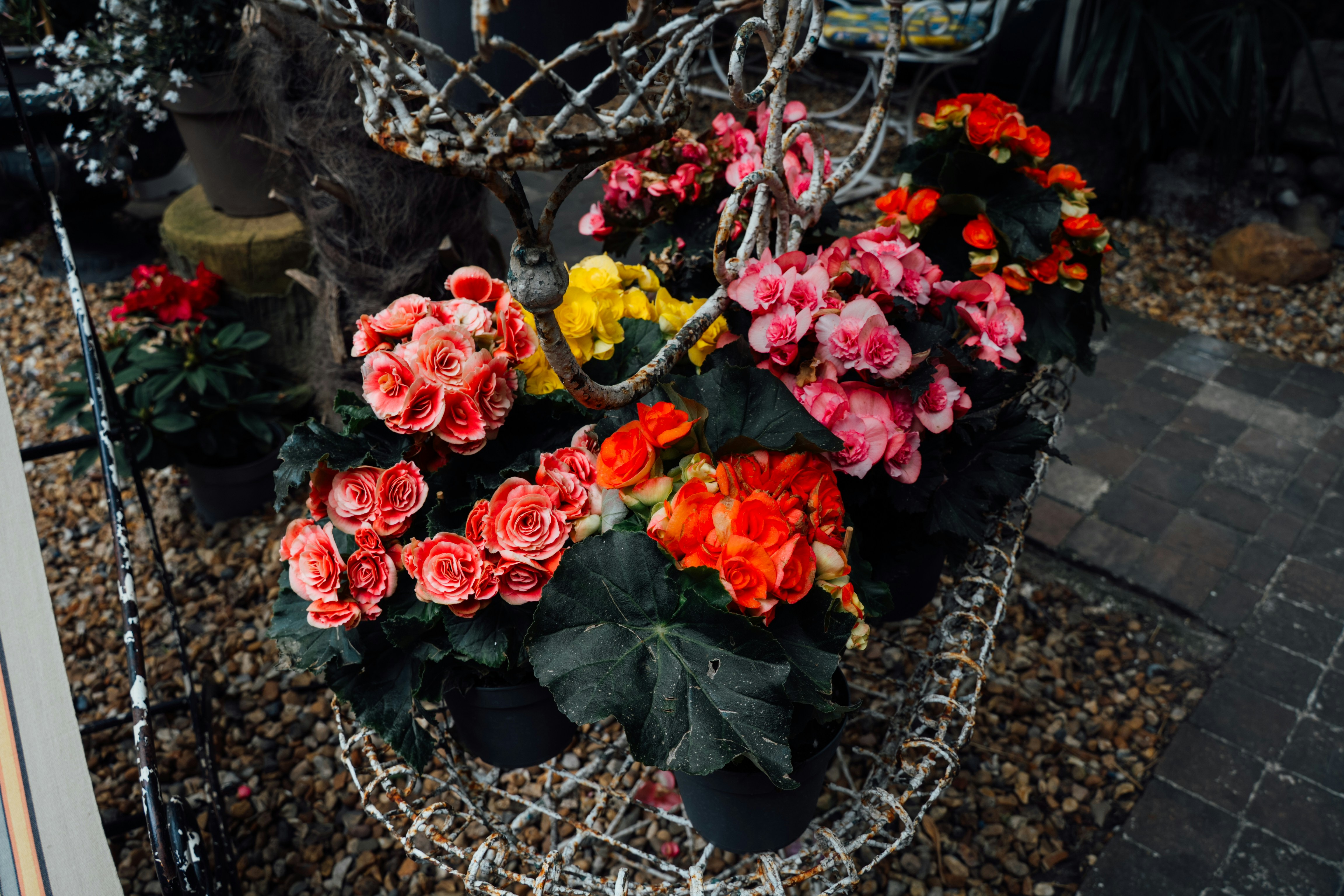 Colorful Carousel: Roses Nestled in a Metal Stand