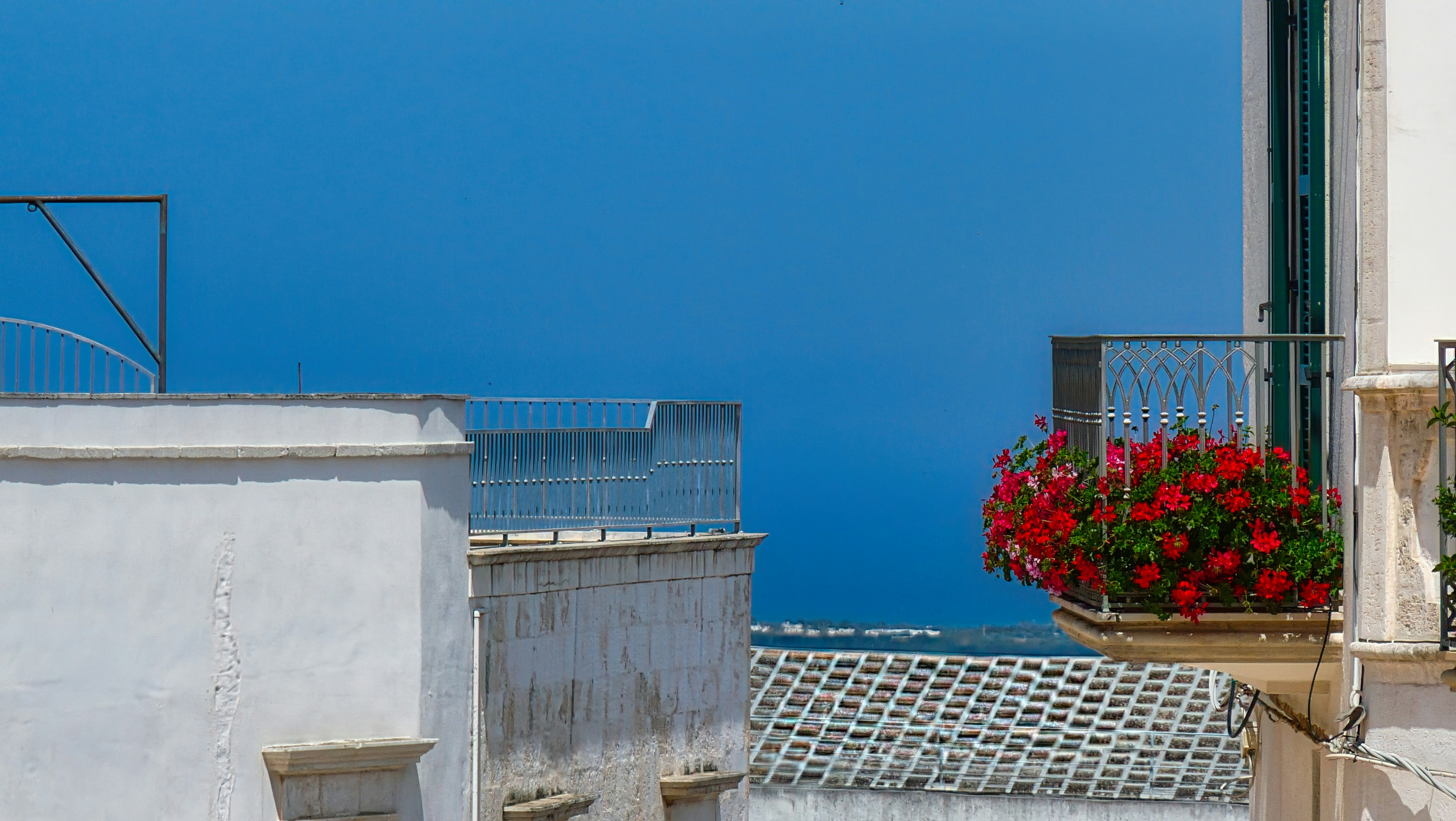 Balcony Bloom Against a Sea of Blue