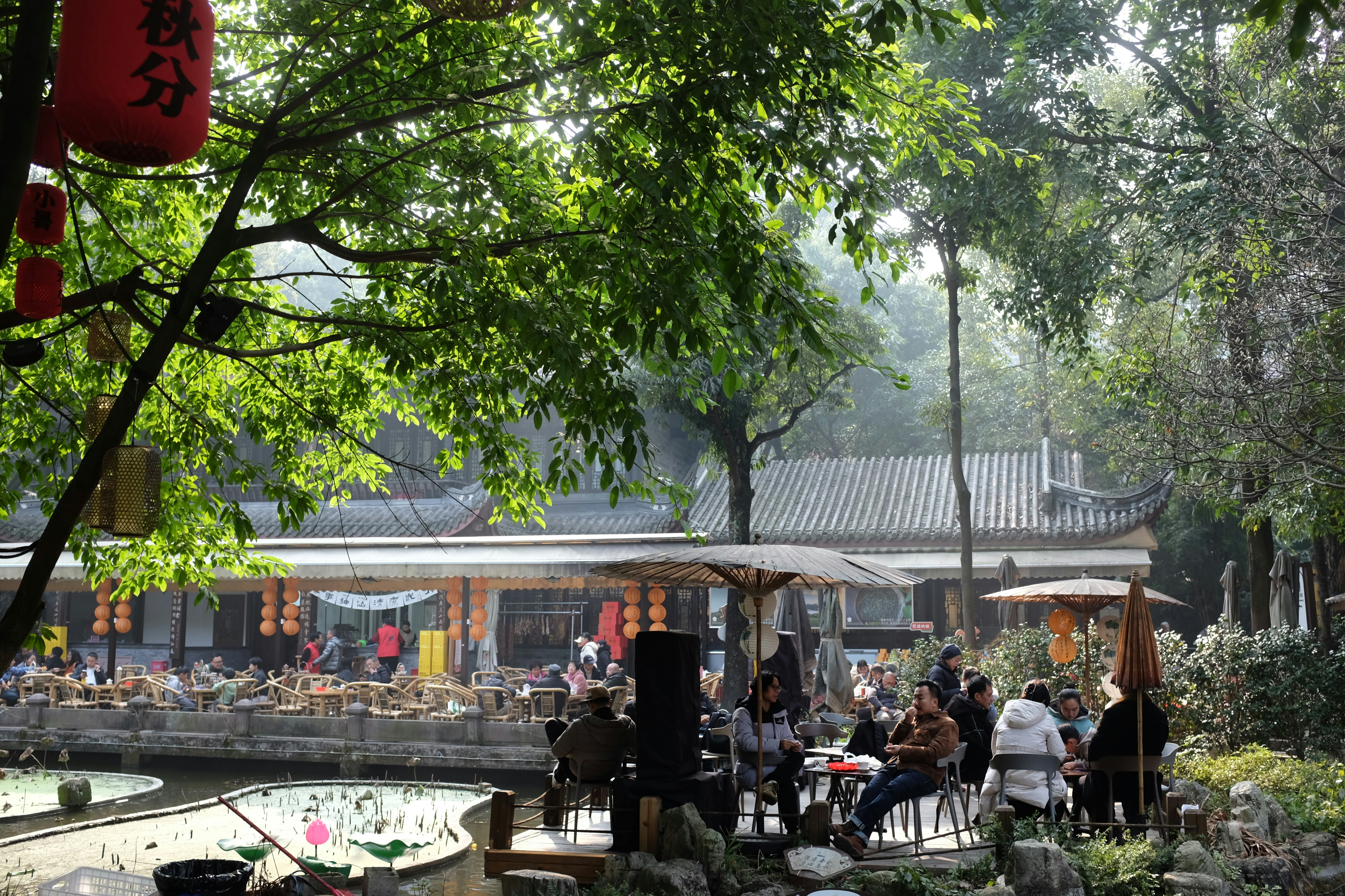 Tea Garden Terrace: Lanterns, Leaves and Lounging by the Water