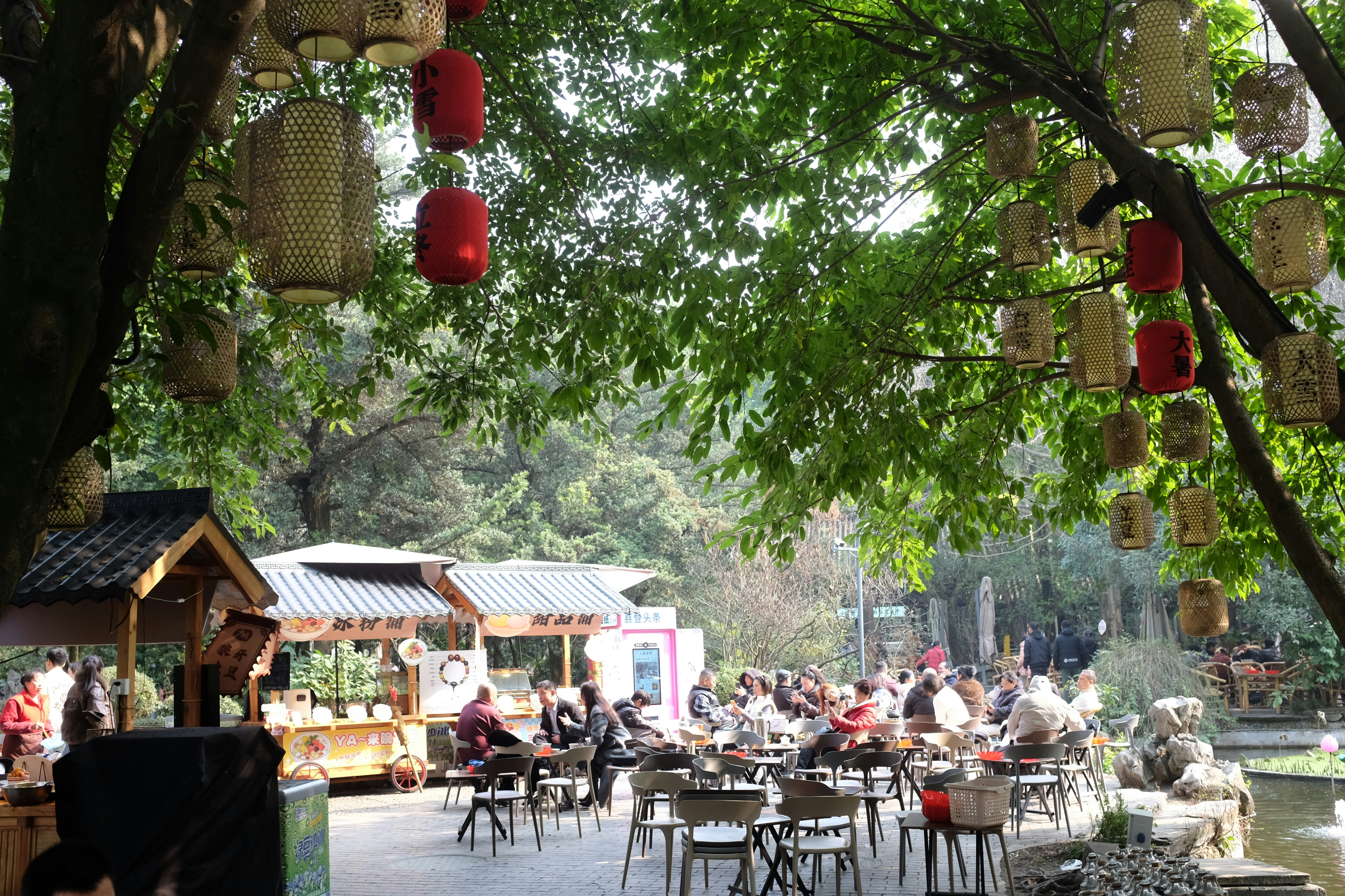 Luncheon under Lanterns: courtyard calm among hanging lights