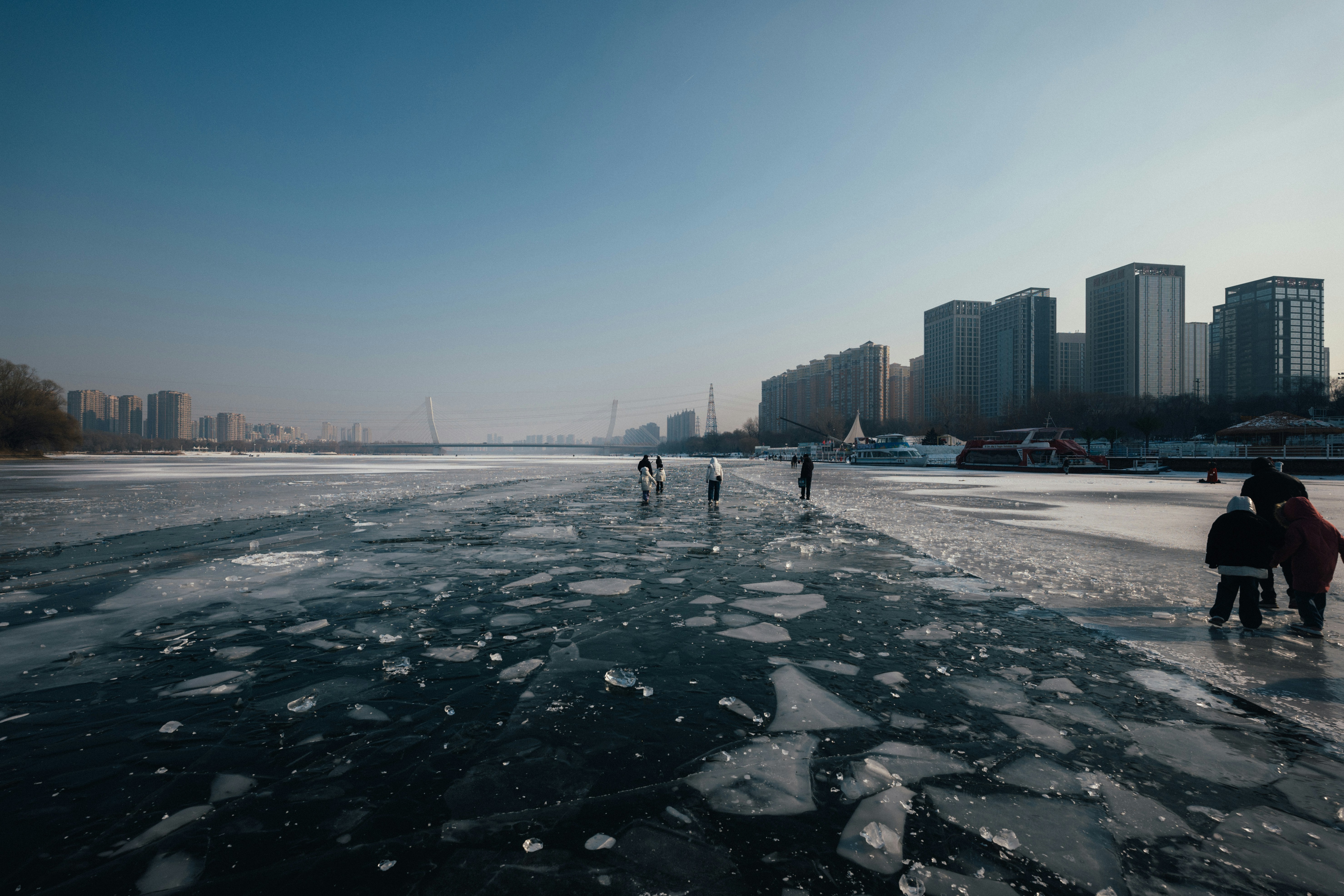 Ivory Mosaic: A Frozen Strand Skirting the City
