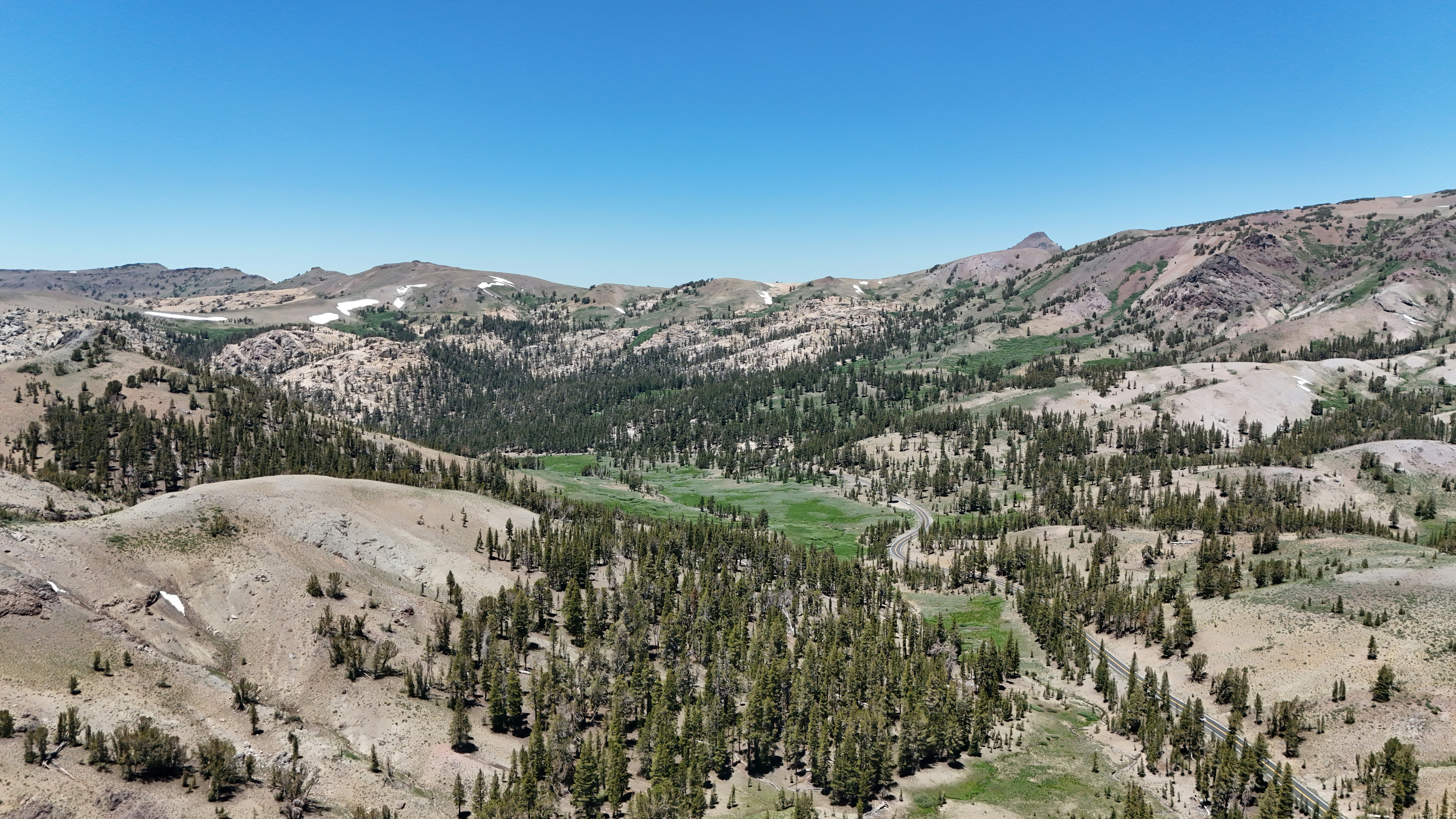 High Desert Traces: Pines, Patches and Open Valleys