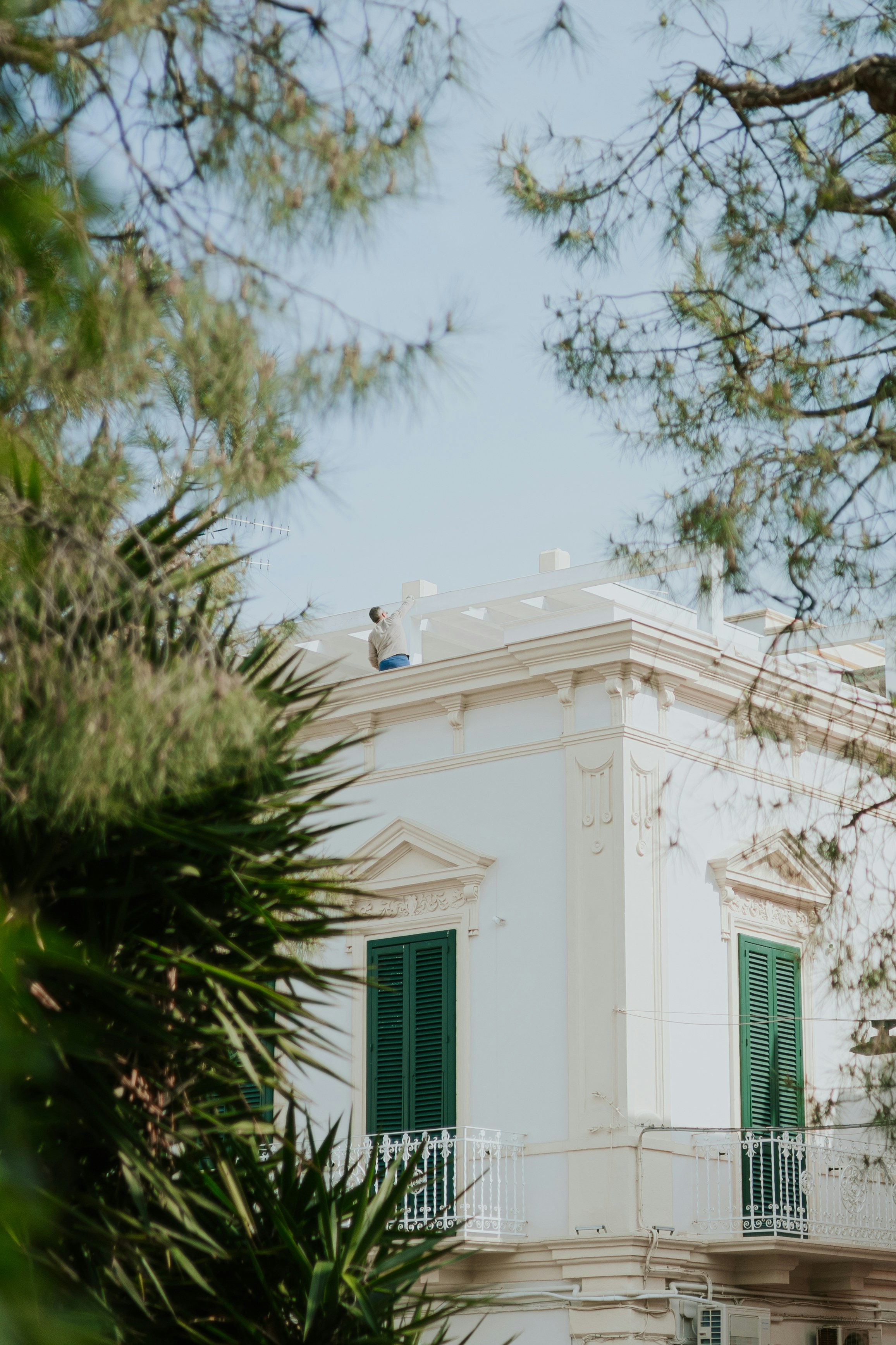 Terrace Revival: A Rooftop Silhouette Framed by Classical Facades