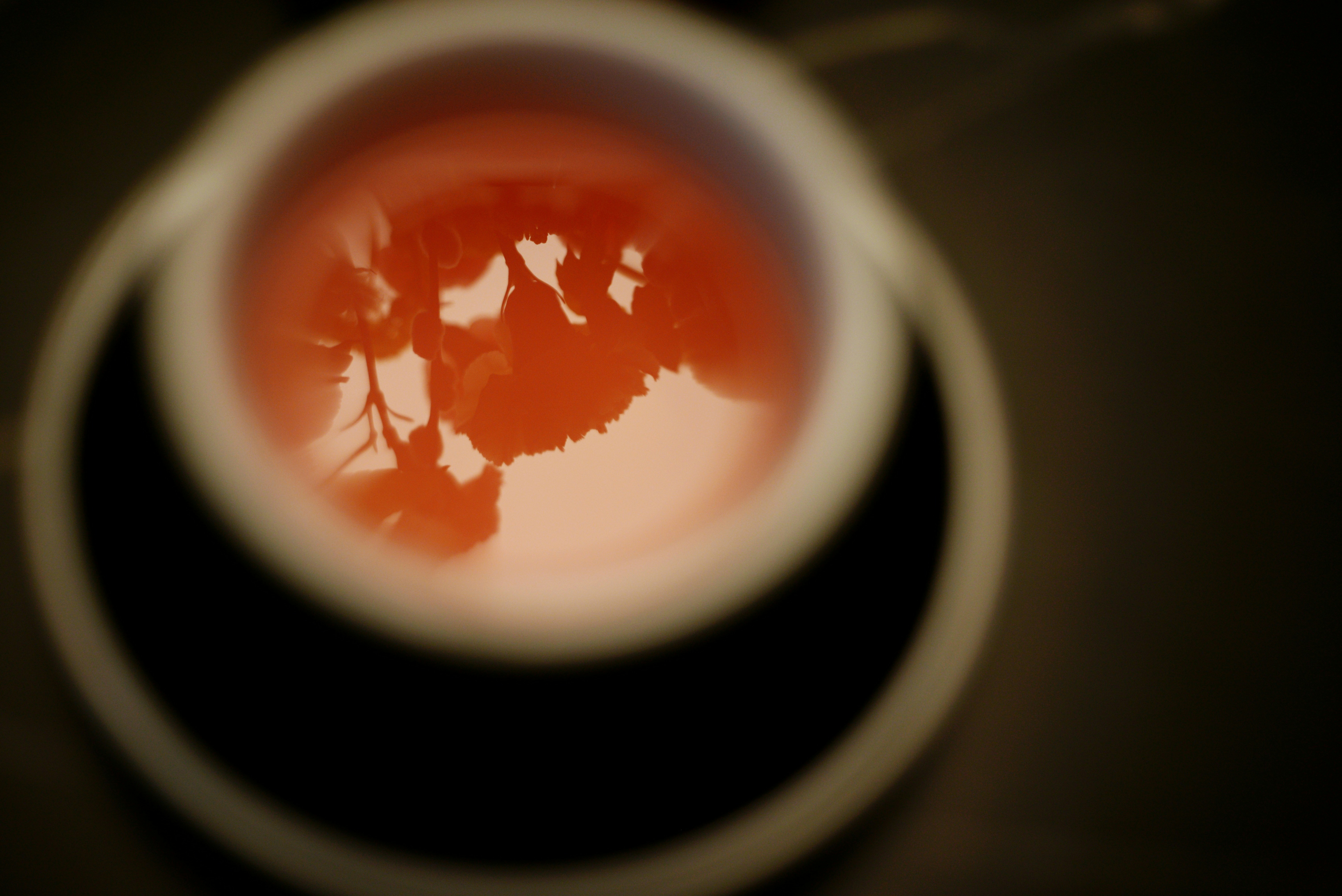 A Rust-Tinted Vignette: Reflections in a Circular Aperture