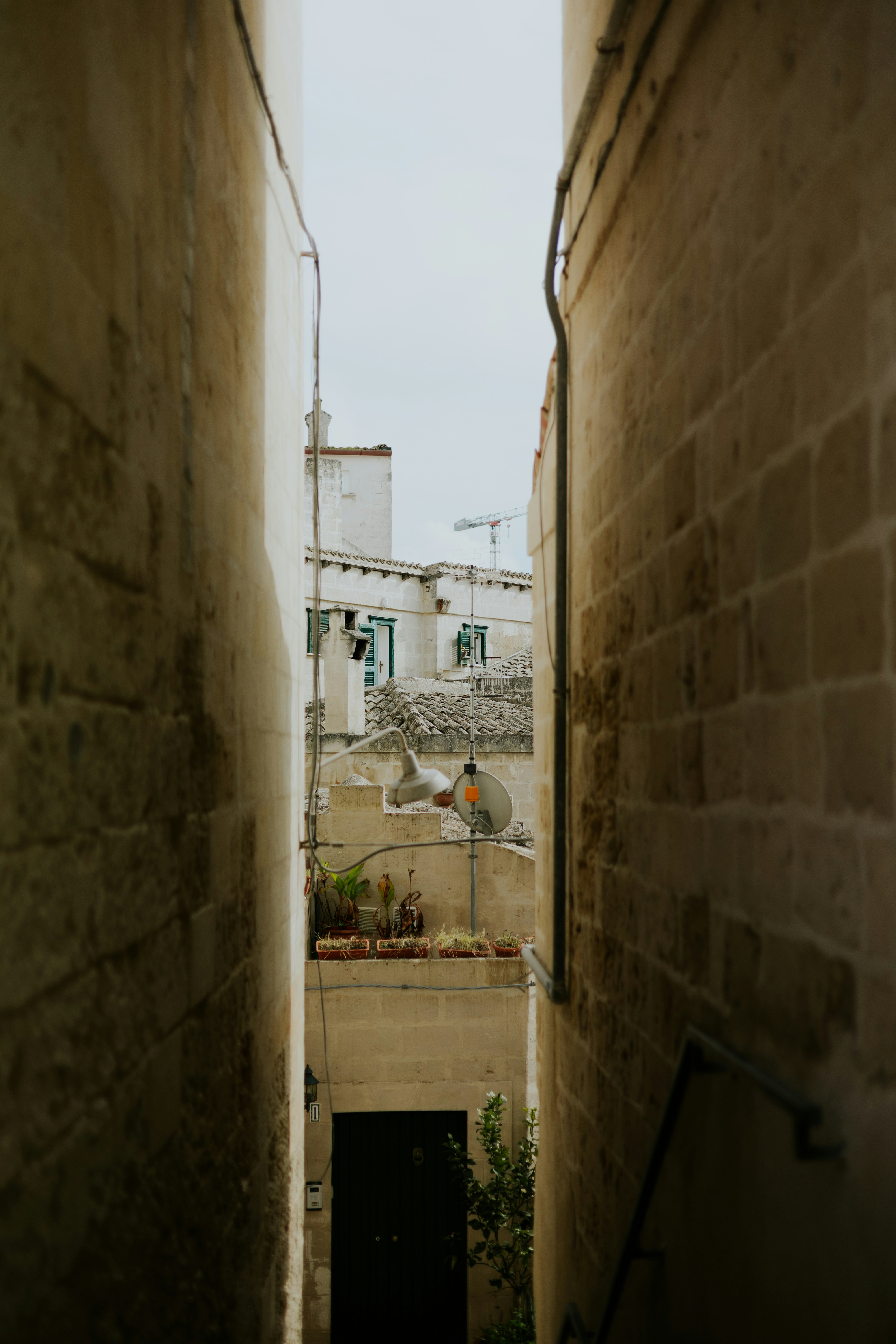 A Narrow Sunlit Gap: Cranes Beyond the Stone Corridor
