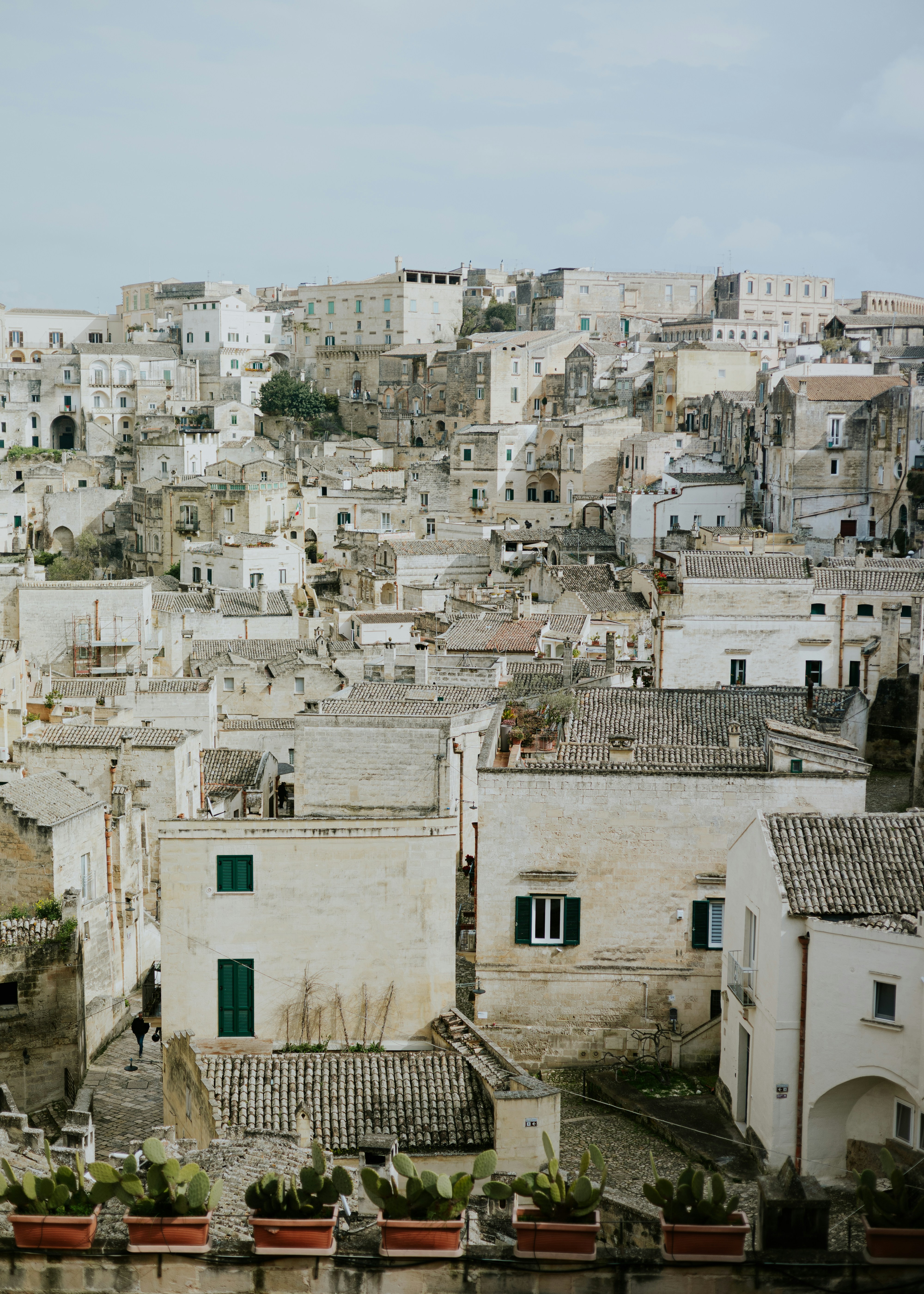 Terraced Whitewashed Cityscape with Clay Tile Rooftops