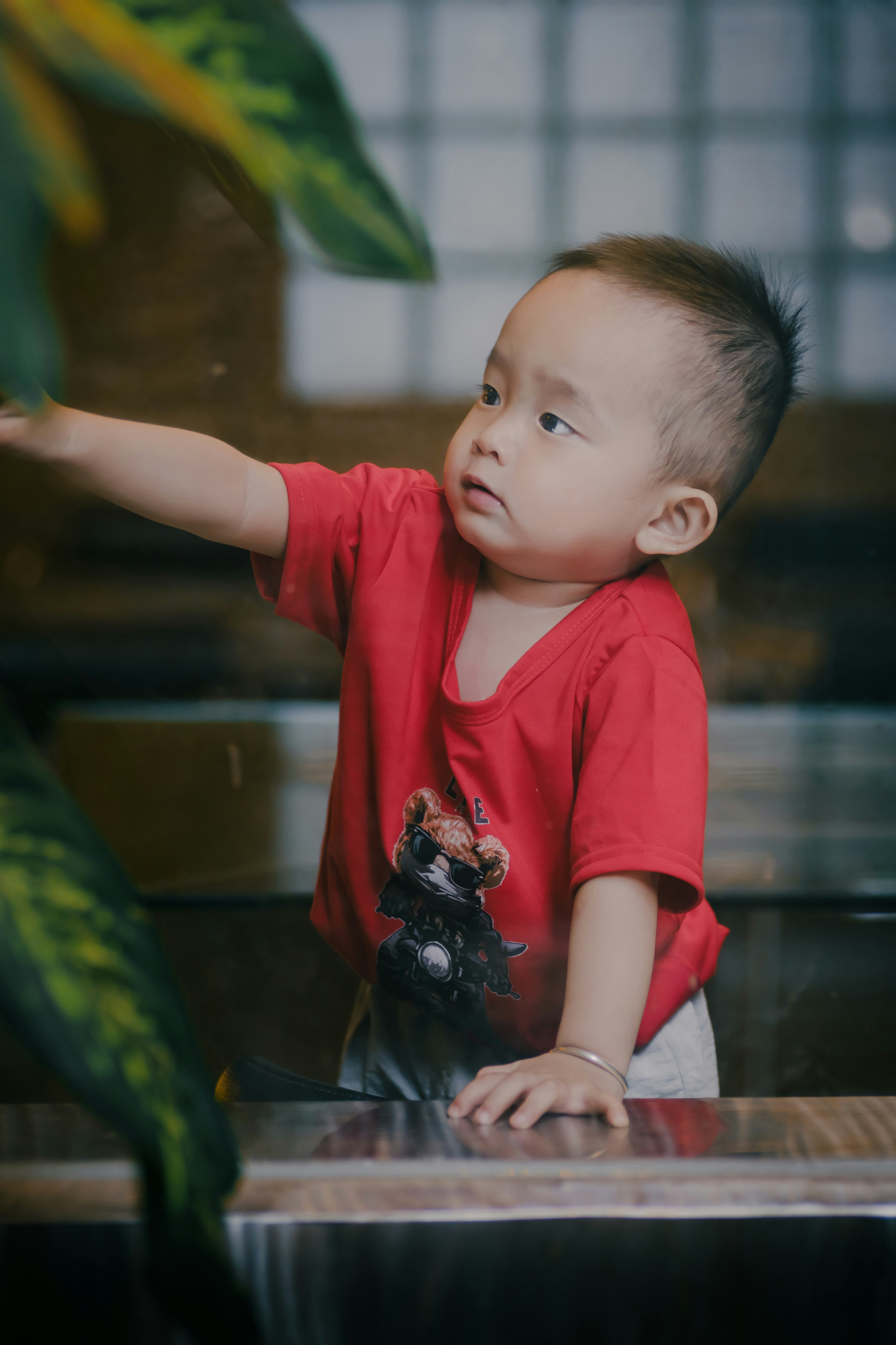 Curious Hand Reaches for Light in a Red-Teeed Moment