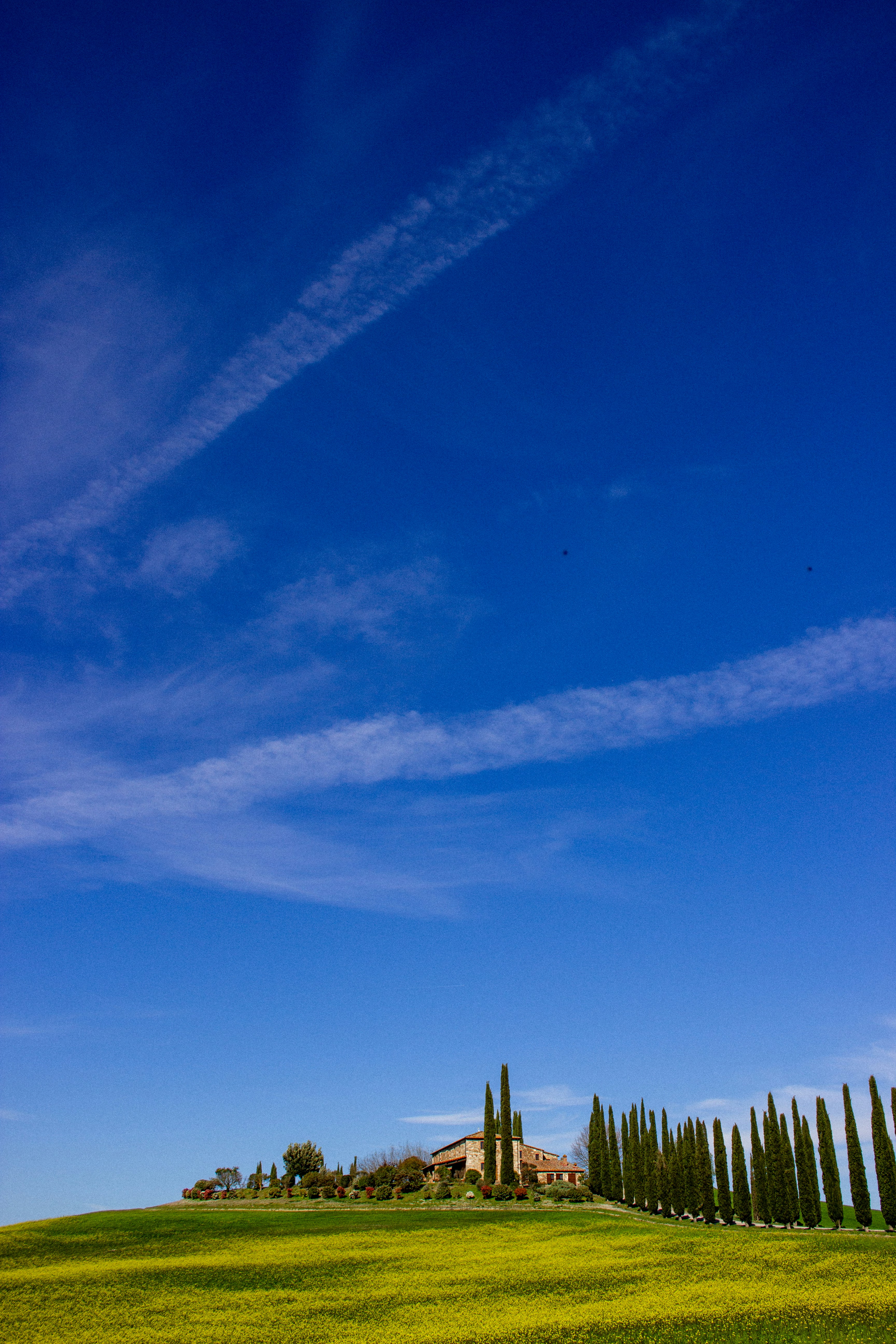 Tuscan Hilltop Retreat: A Row of Cypresses Guarding a Rustic Estate