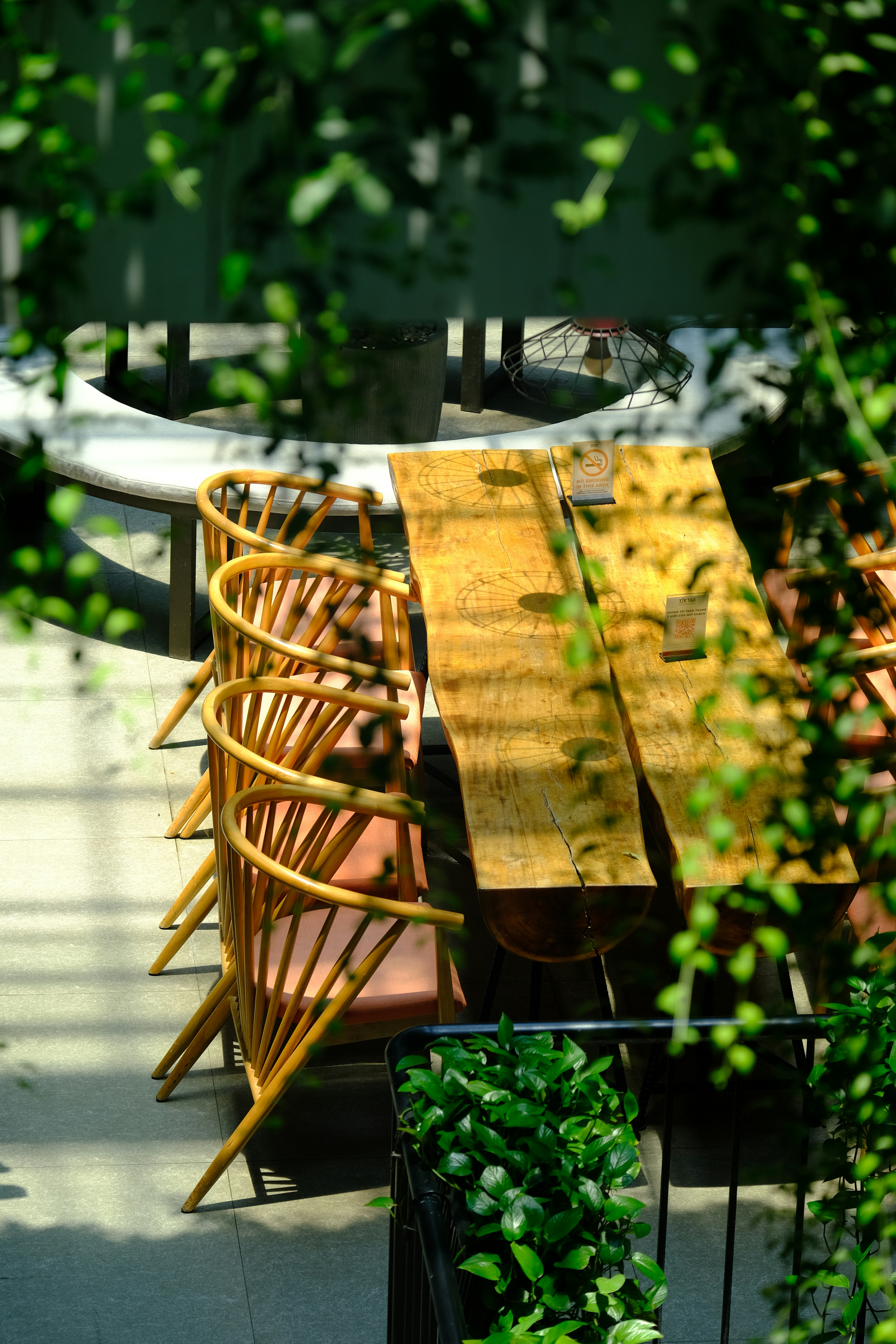 Sunlit Café Terrace Folded by Foliage