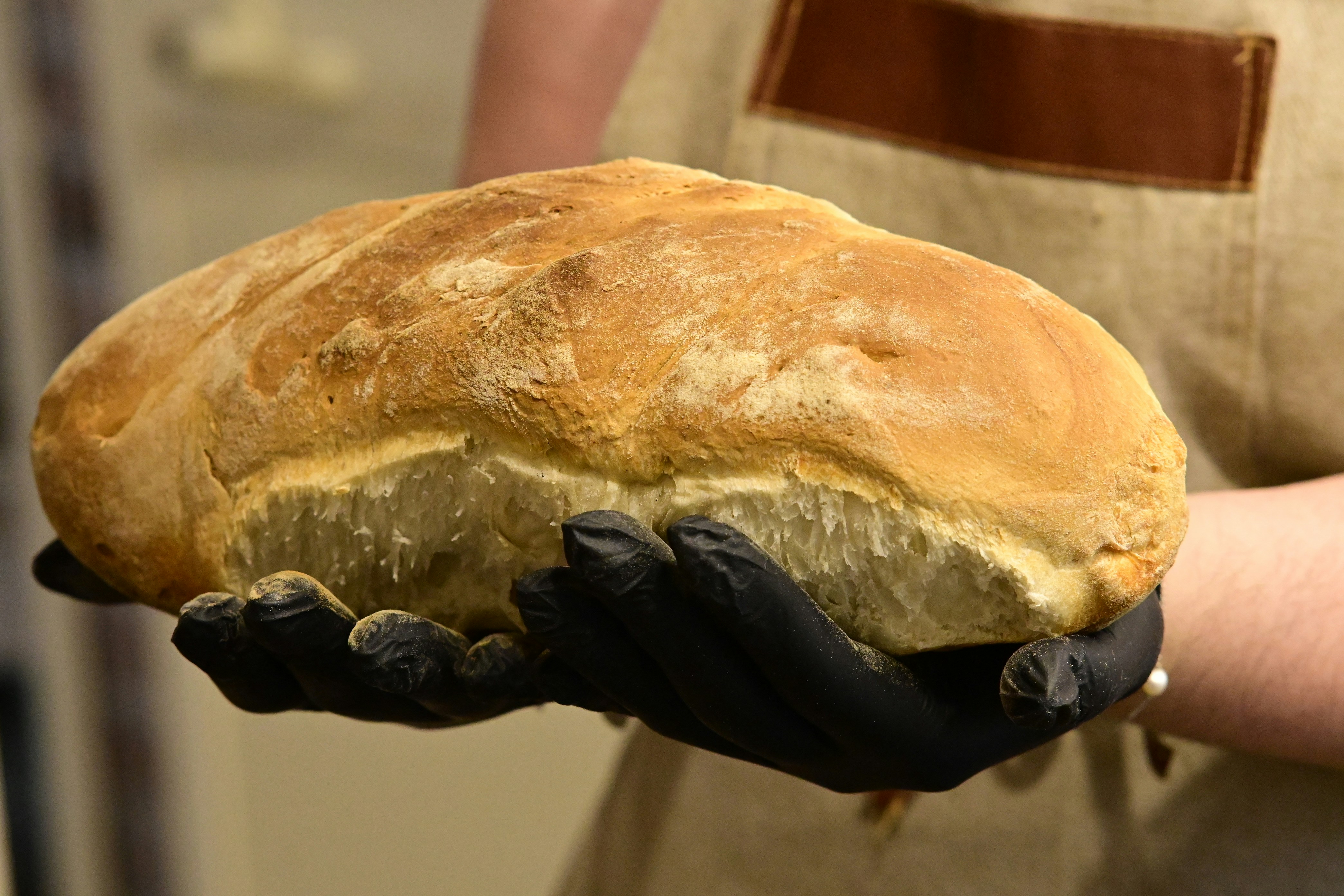 Handcrafted loaf presented by gloved baker