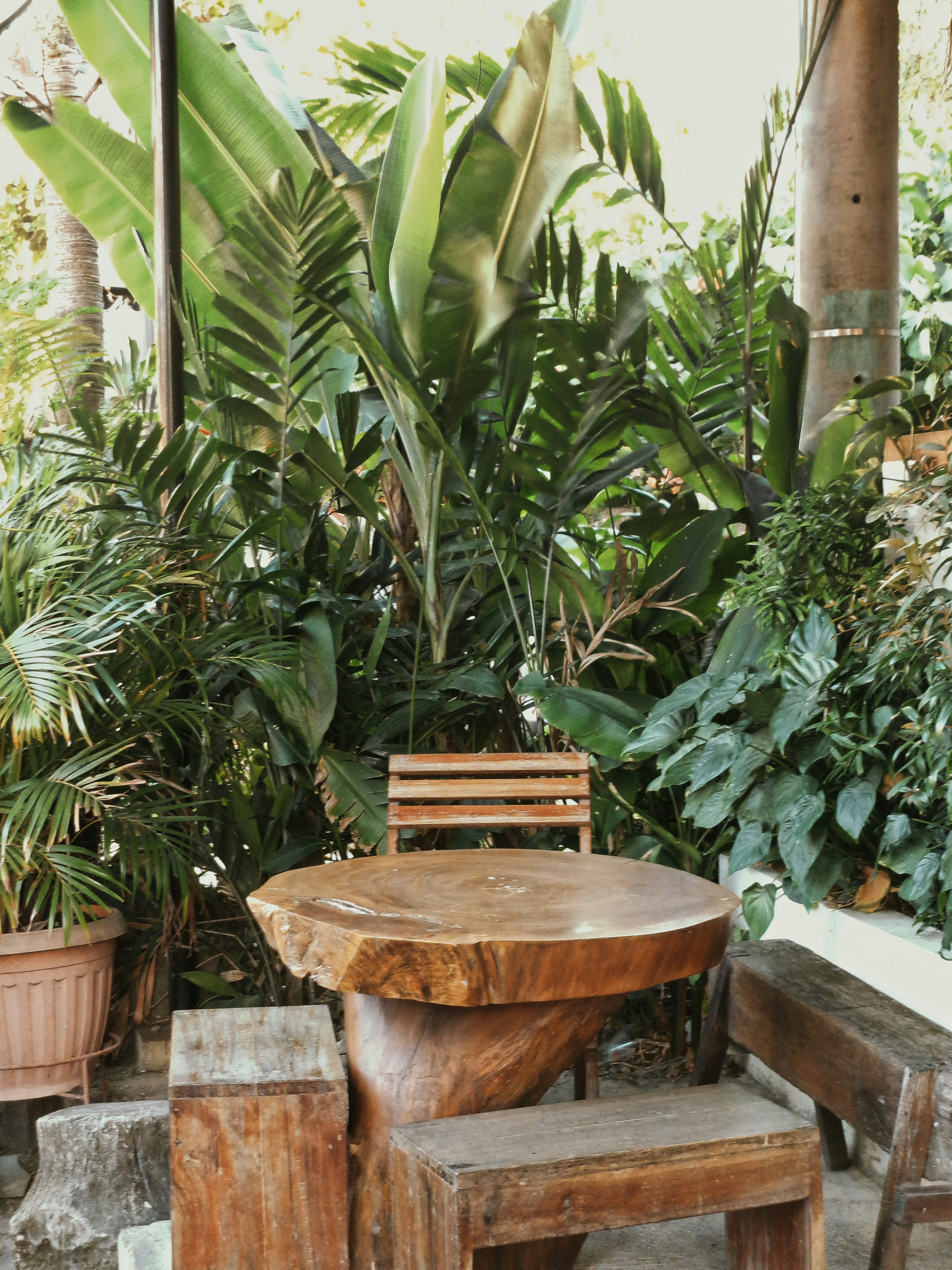 Garden Table among Tropical Foliage