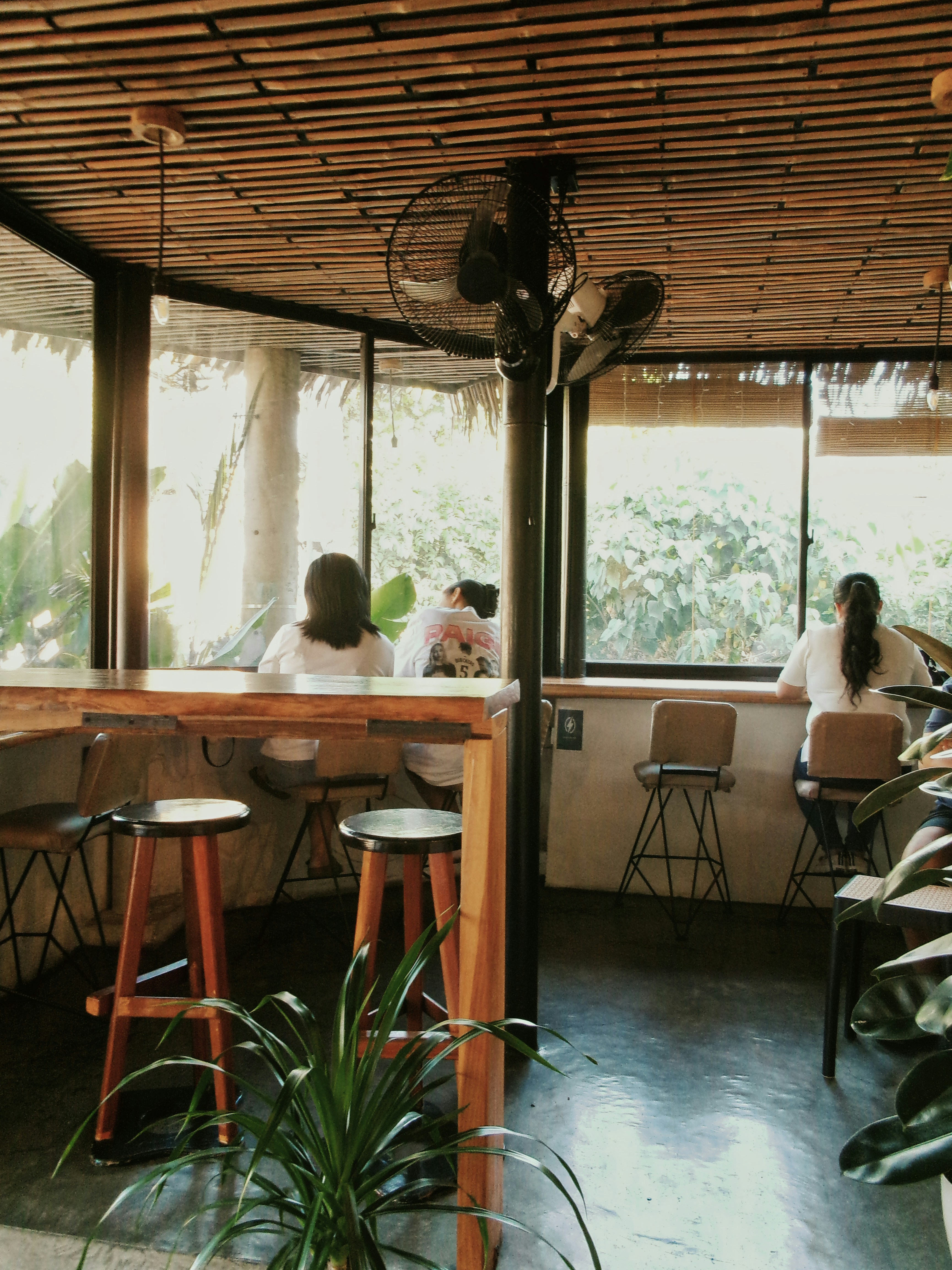 Windowed Café Quiet: People at a Sunlit Bar with Plants