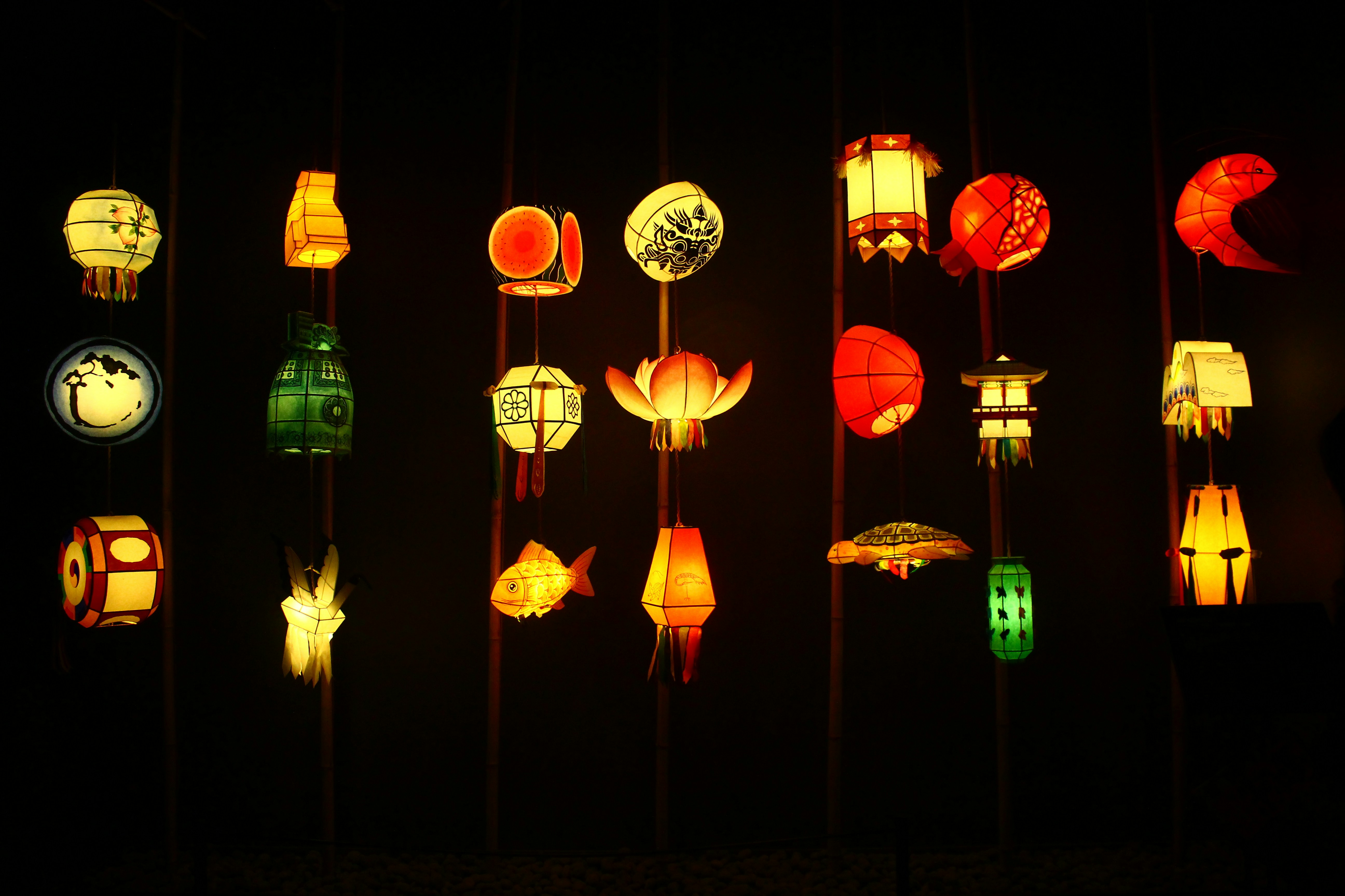 Lantern Garden in the Dark: A Festival of Floating Light