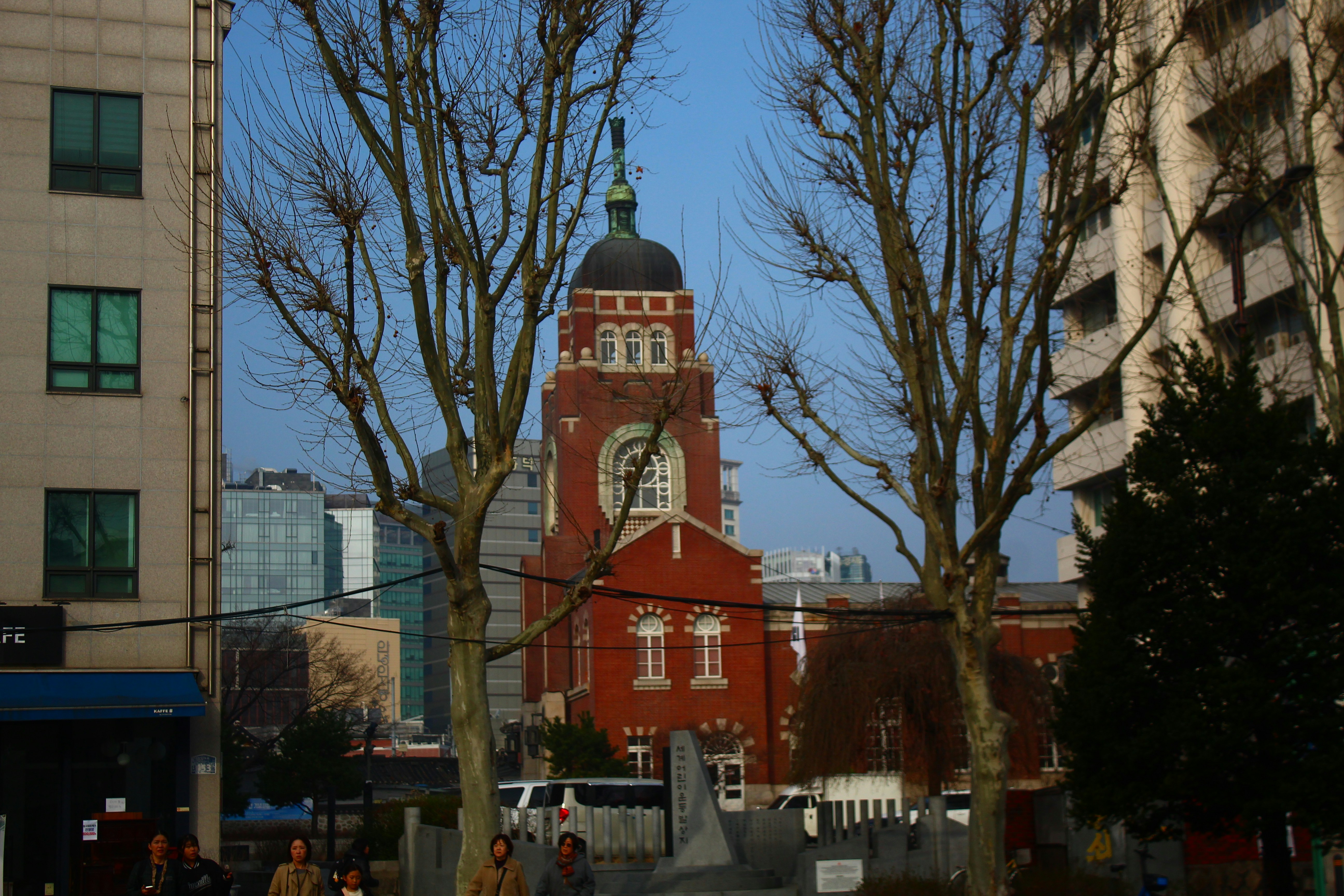Red-brick Clock Tower Framed by Urban Trees