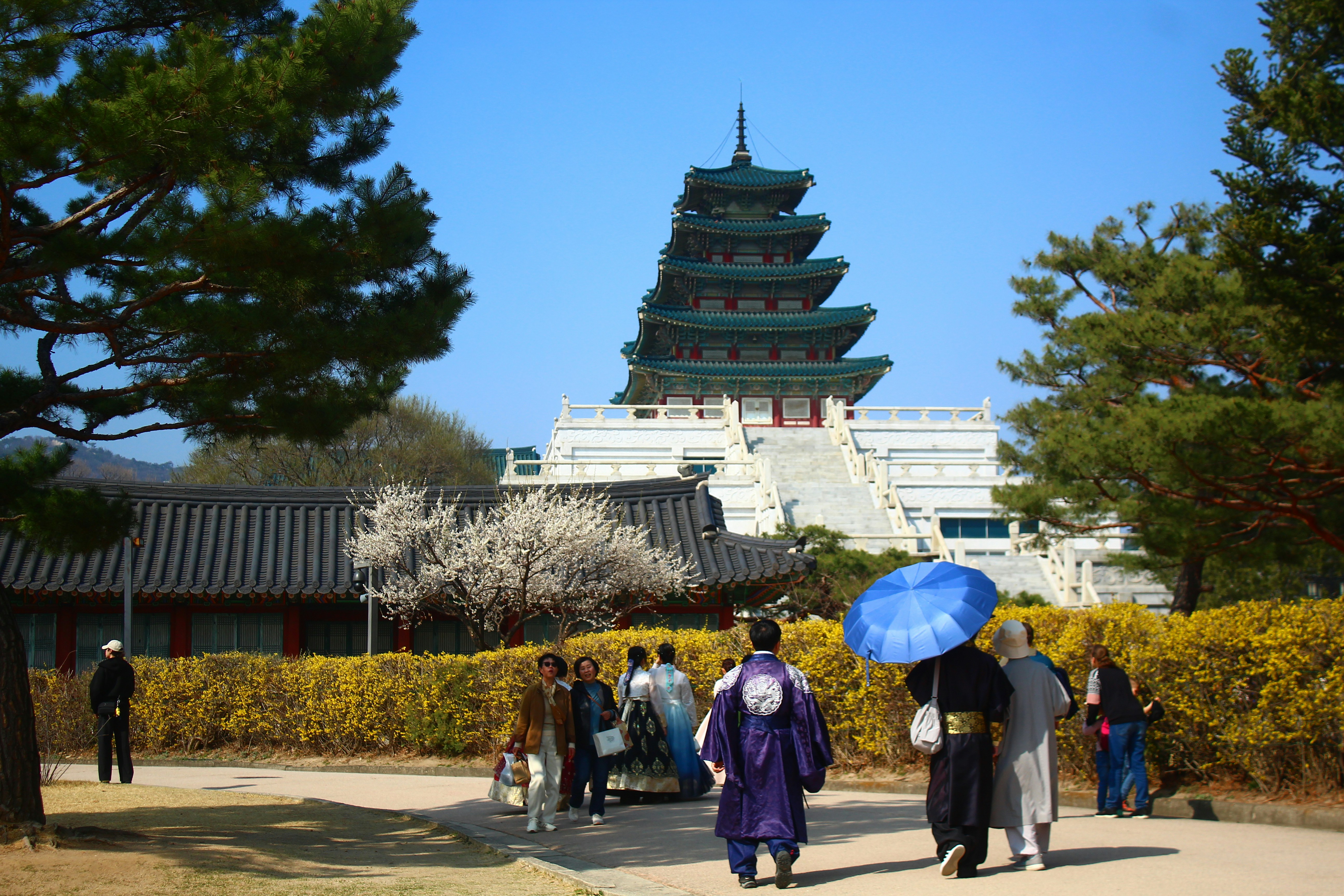 Temple Steps and Parasol: A Quiet Moment Before the Pagoda