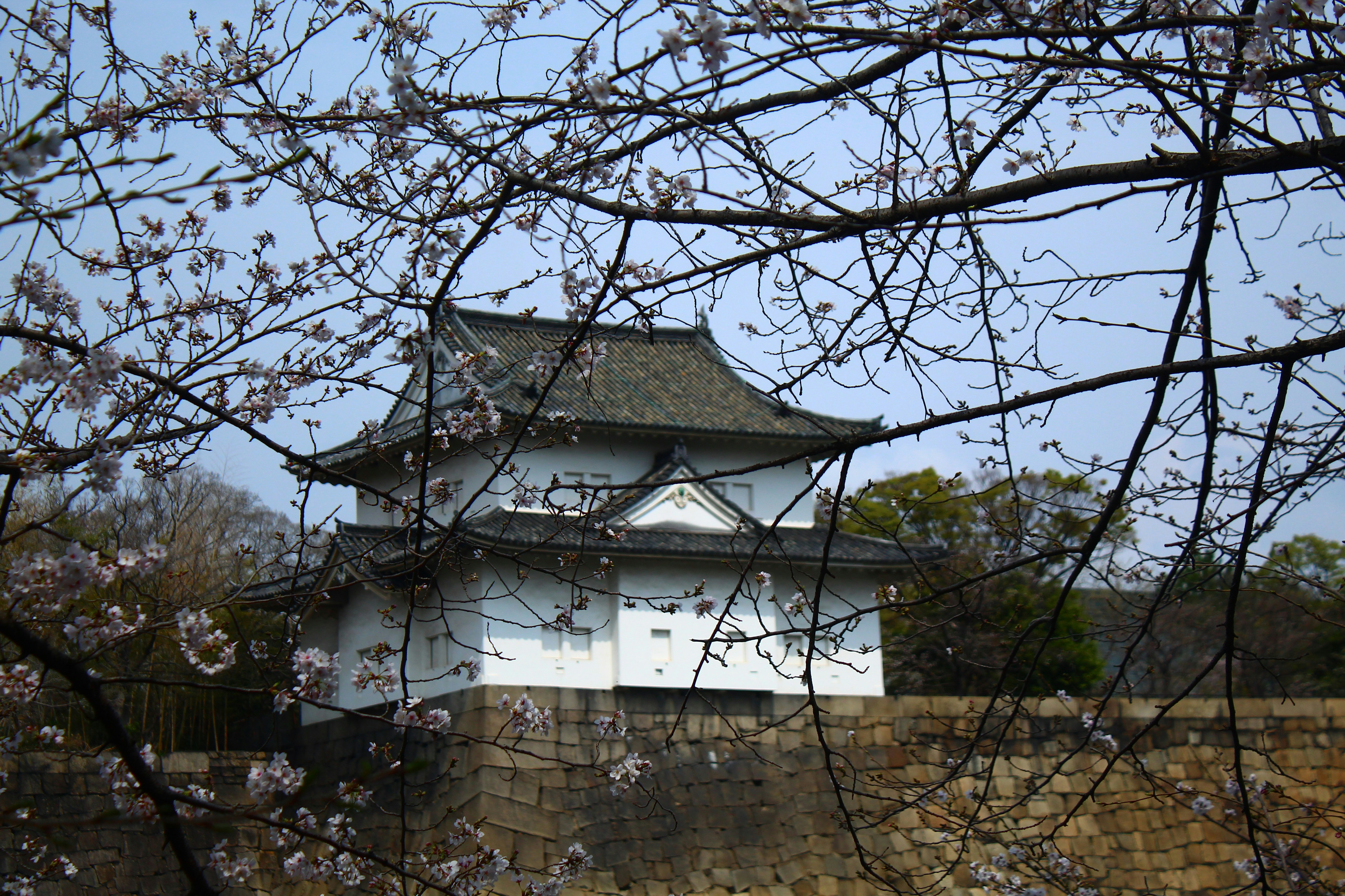 Blossom-Framed Keep Over the Stone Curtain