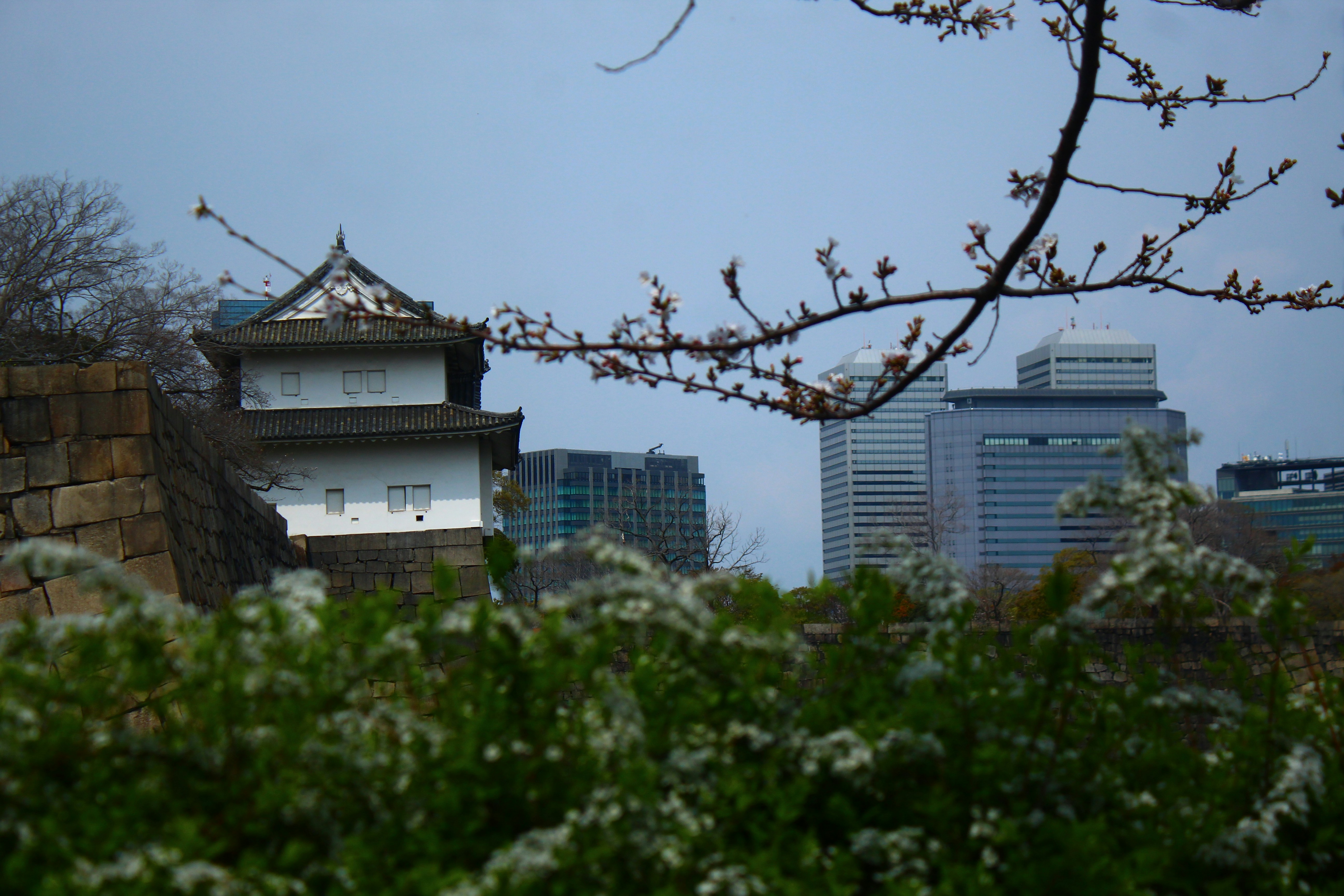 Temple Framing the City: A Quiet Blend of Tradition and Modernity