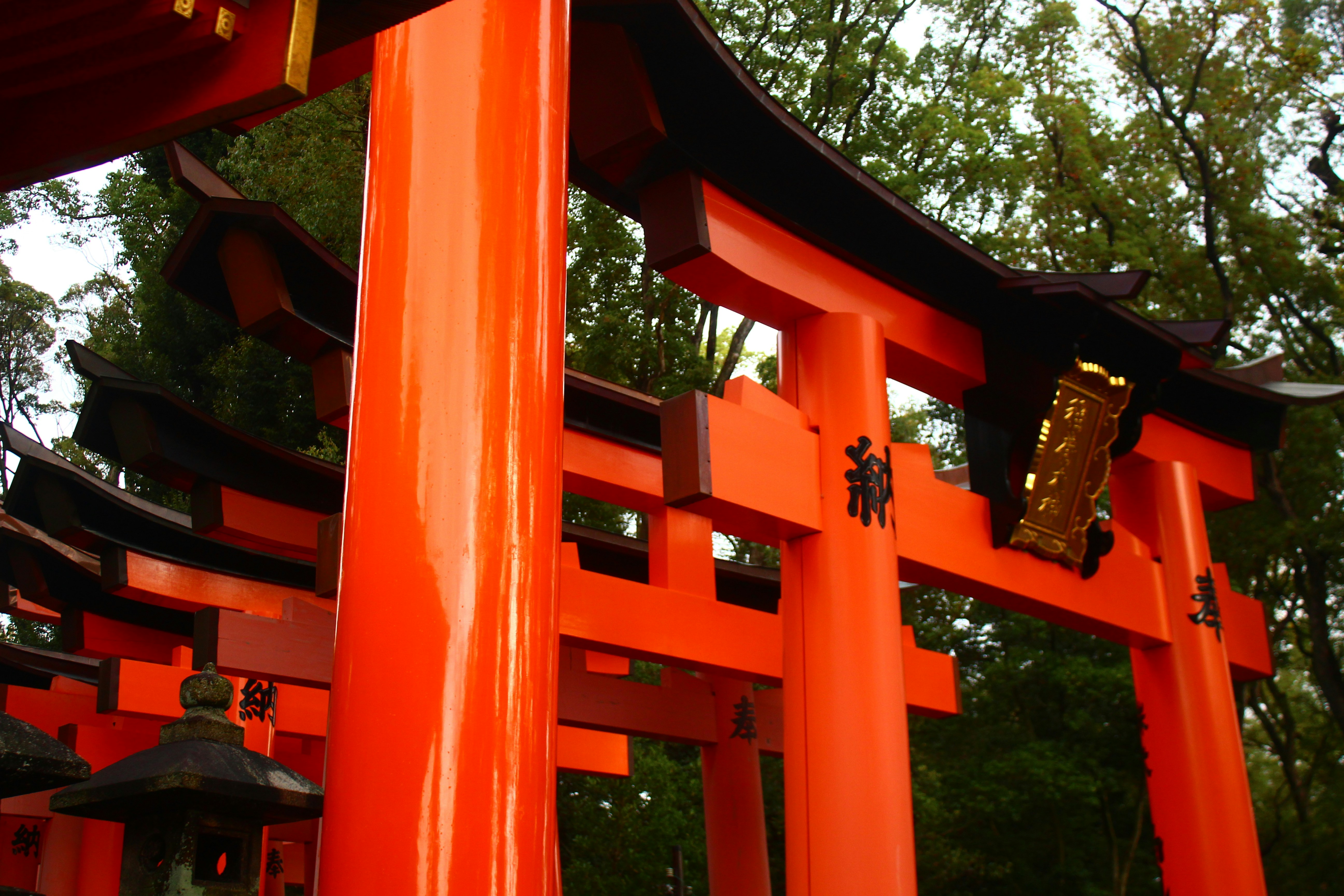 Crimson Torii Corridor: Astream of Gates in the Forest