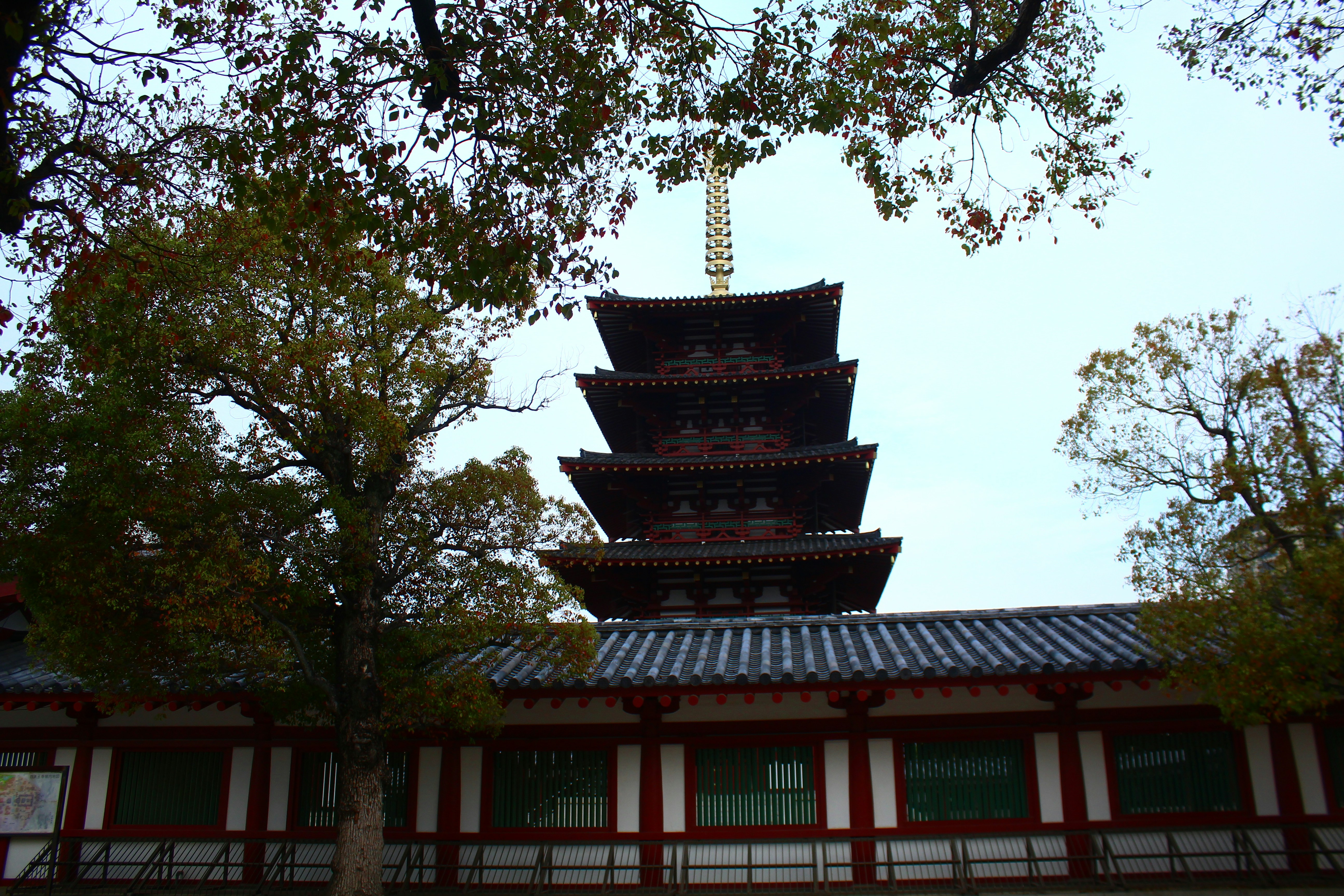 Temple Tower in Twilight: A Pagoda Framed by Gnarled Trees