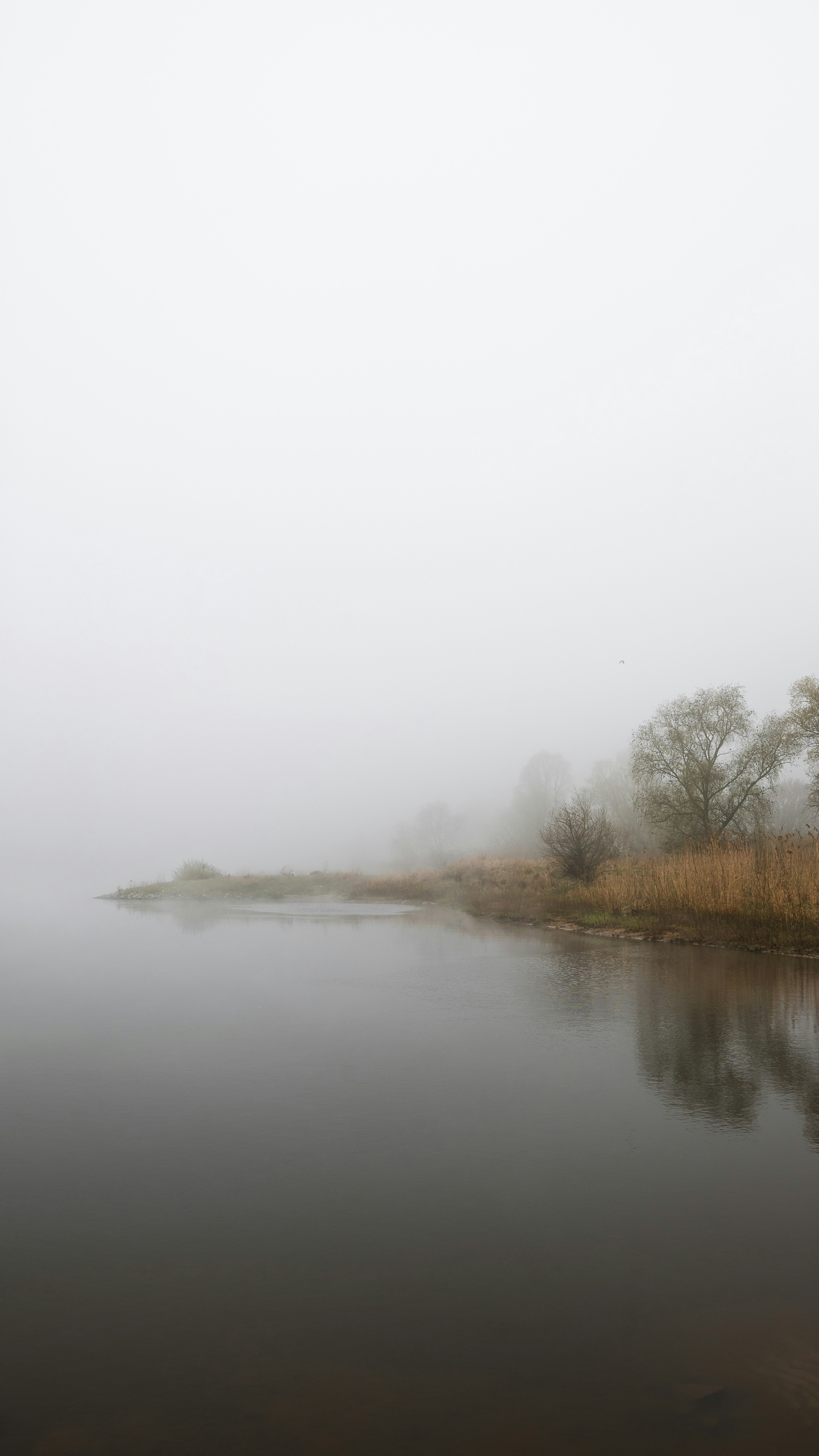 Quiet River Veil: Misty Shoreline at Dusk