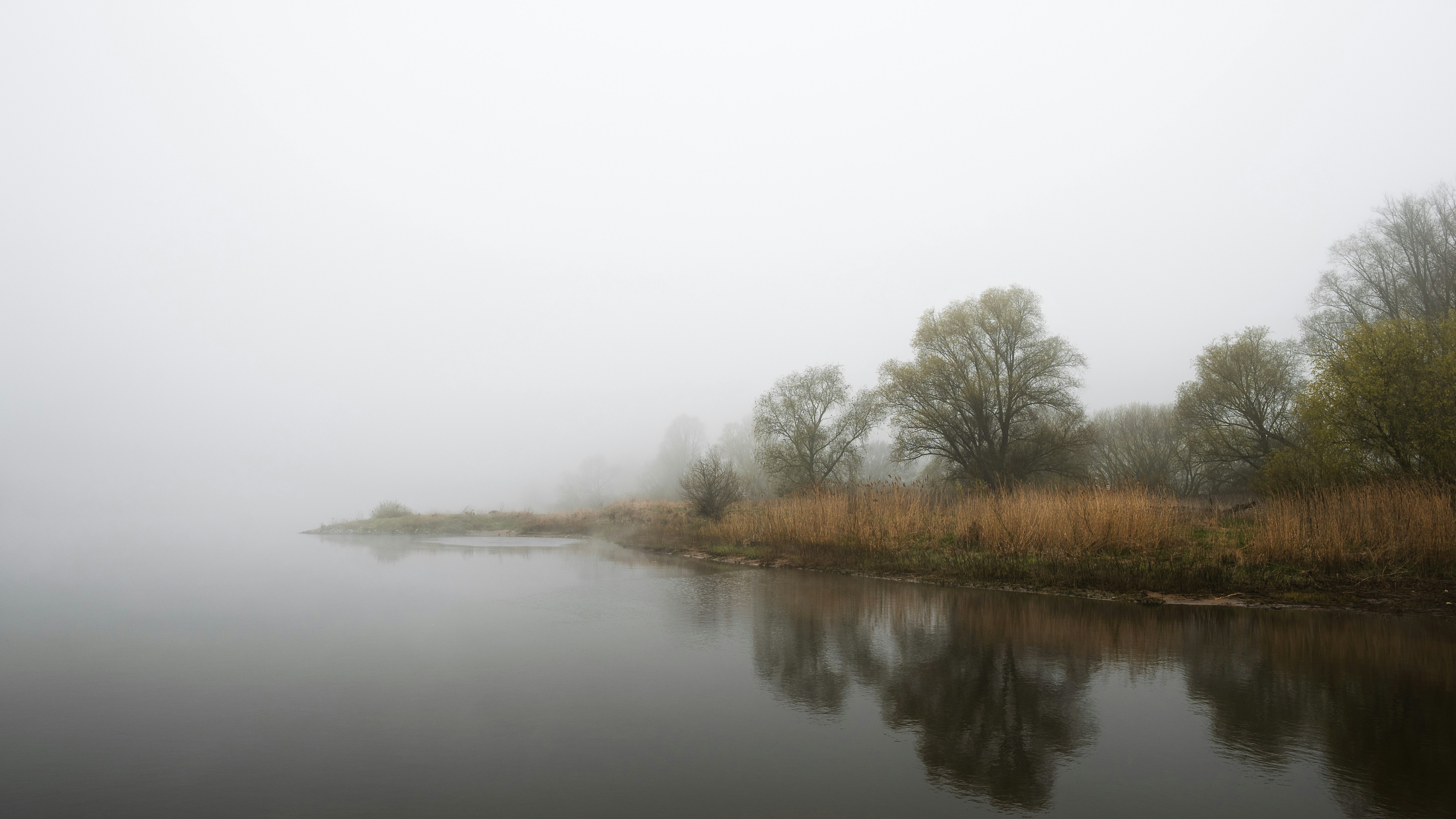 Mist over the Quiet Lakebank