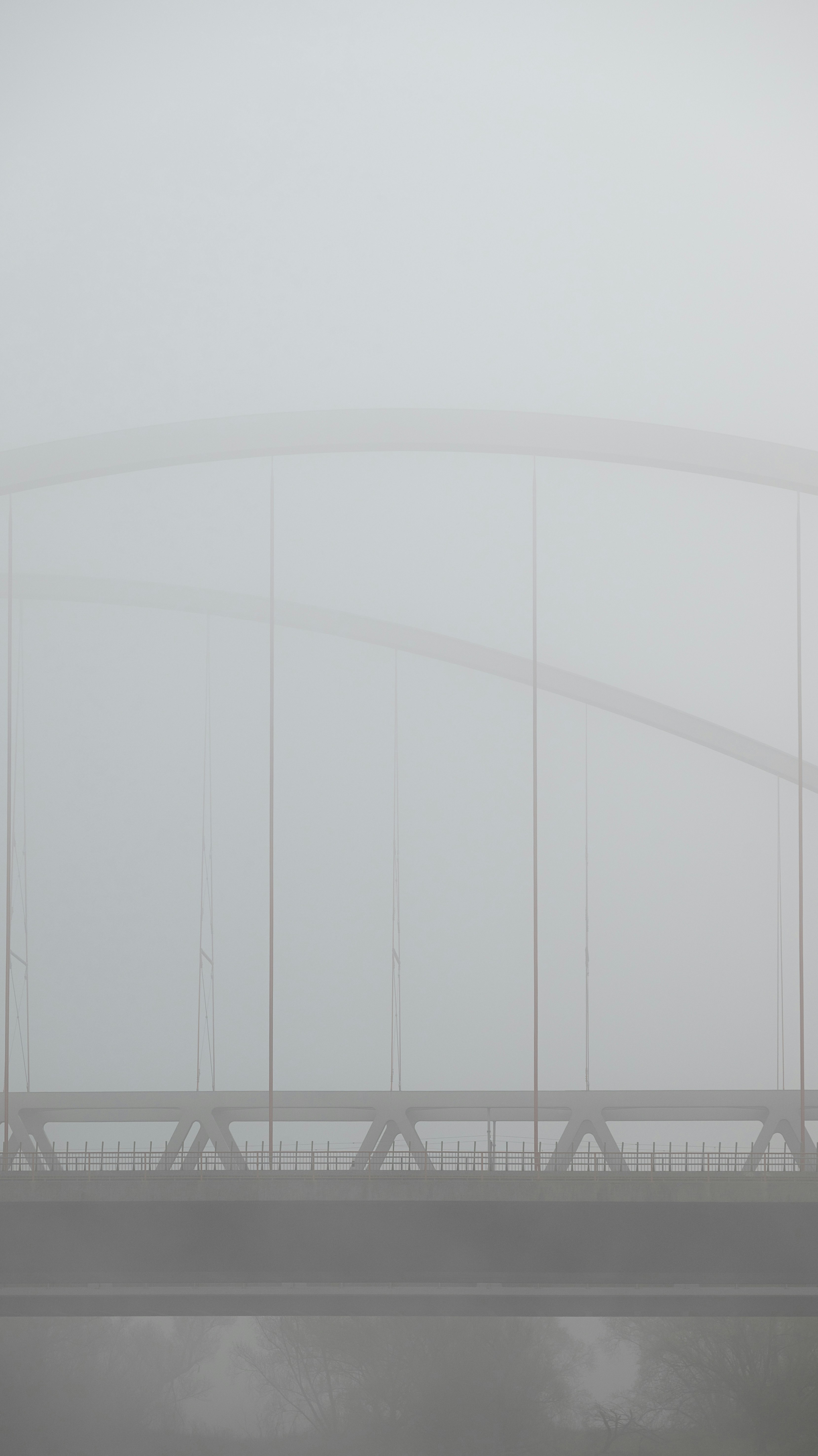 Mist Veil Over the Suspension Span