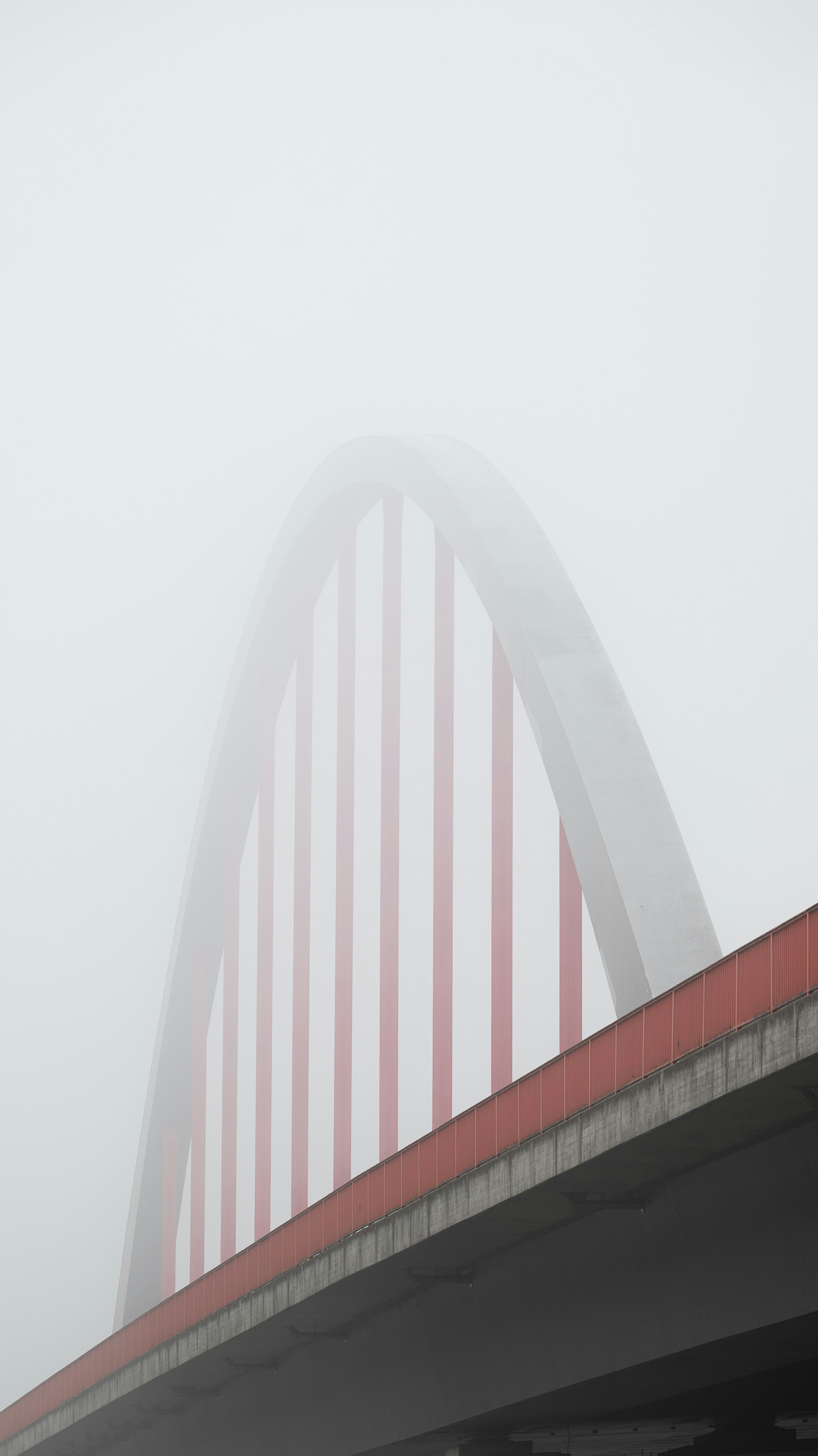 Arc in the Mist: A Bridge Rises through Fog