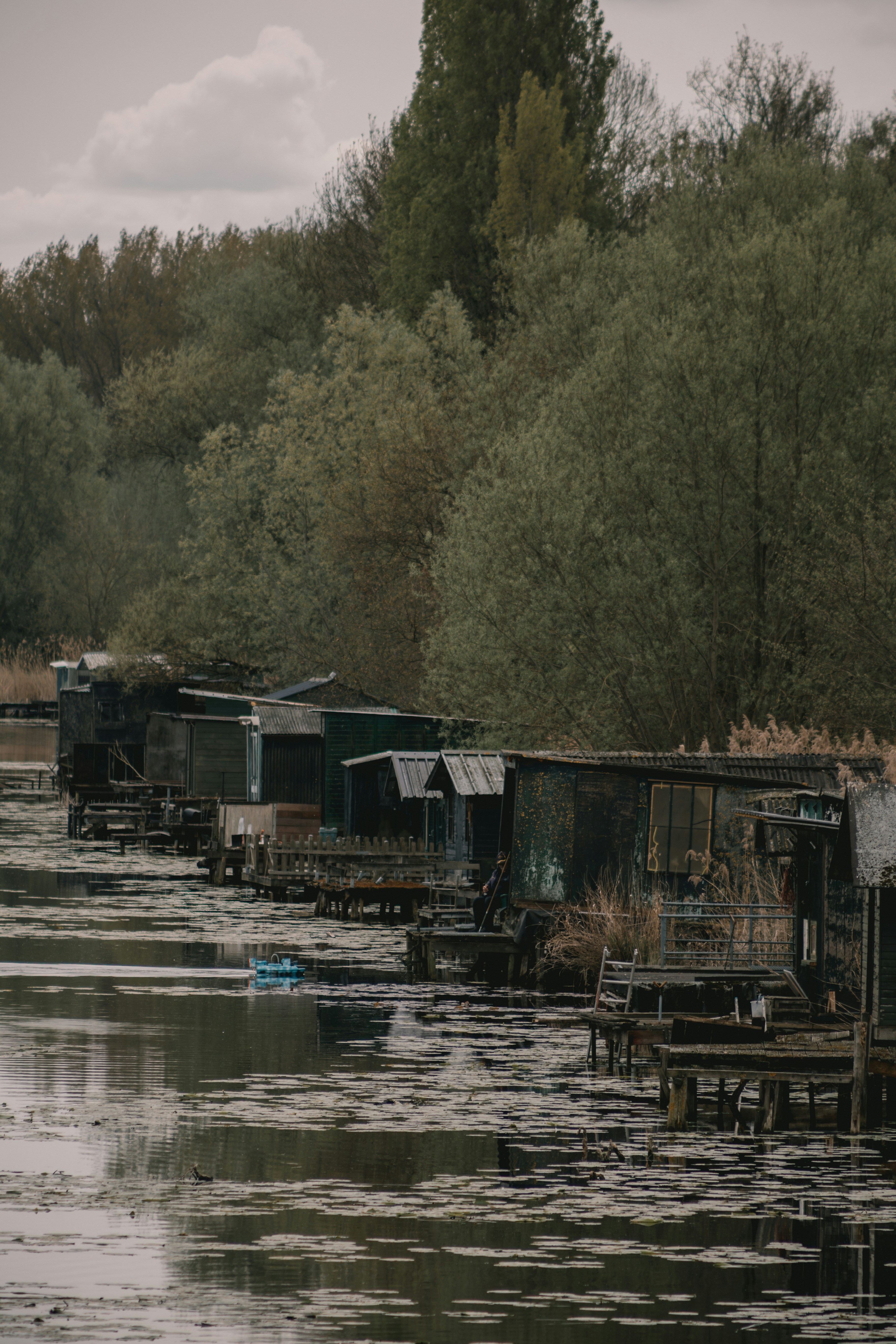 Row of Riverside Houseboats Quietly Lined by Reeds and Trees