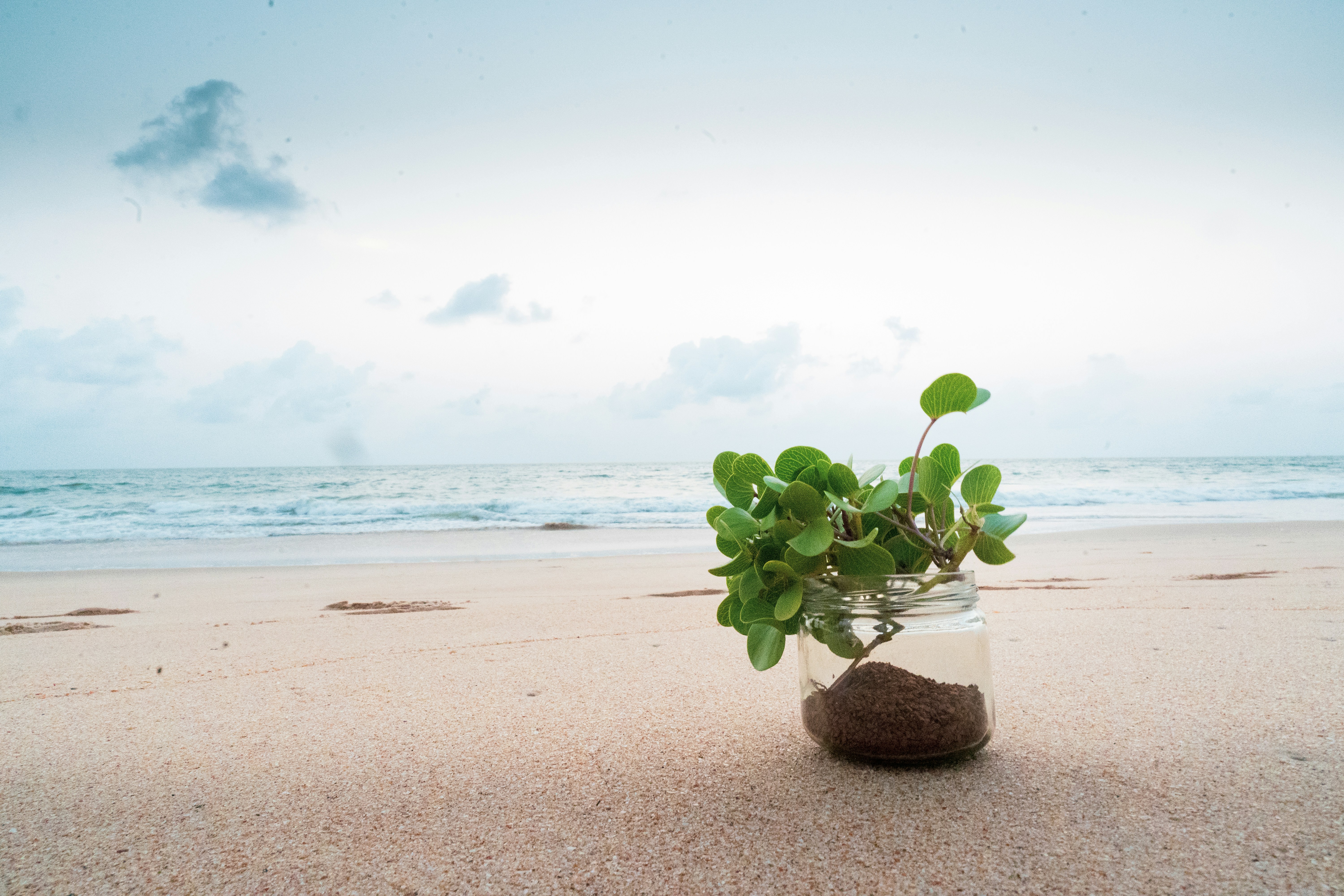 A glass jar with a small green plant sits on pale sand at the edge of a calm sea, with a soft sky above. The scene emphasizes minimalism and natural textures.