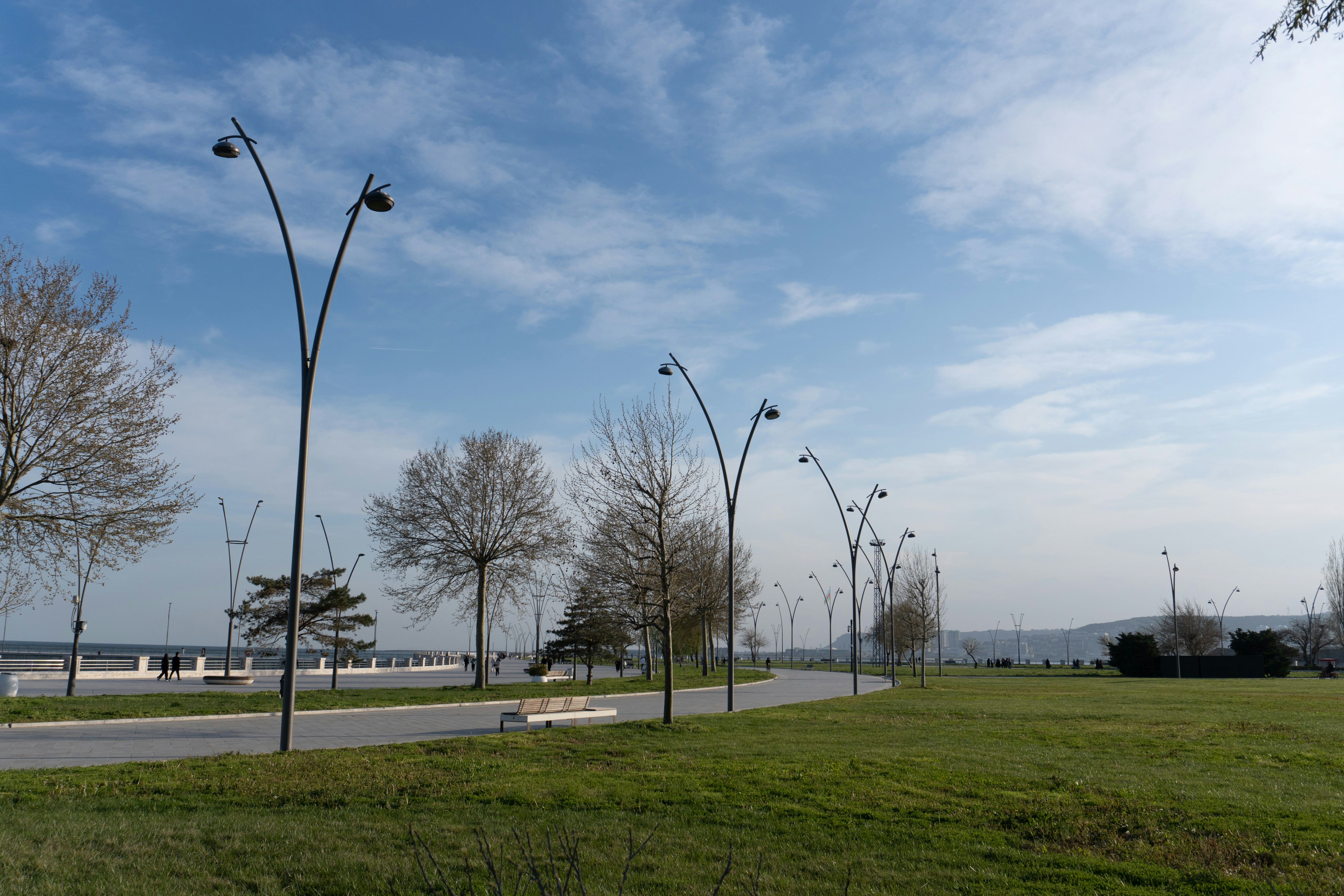 Curved Street Lamps Framing a Seaside Promenade