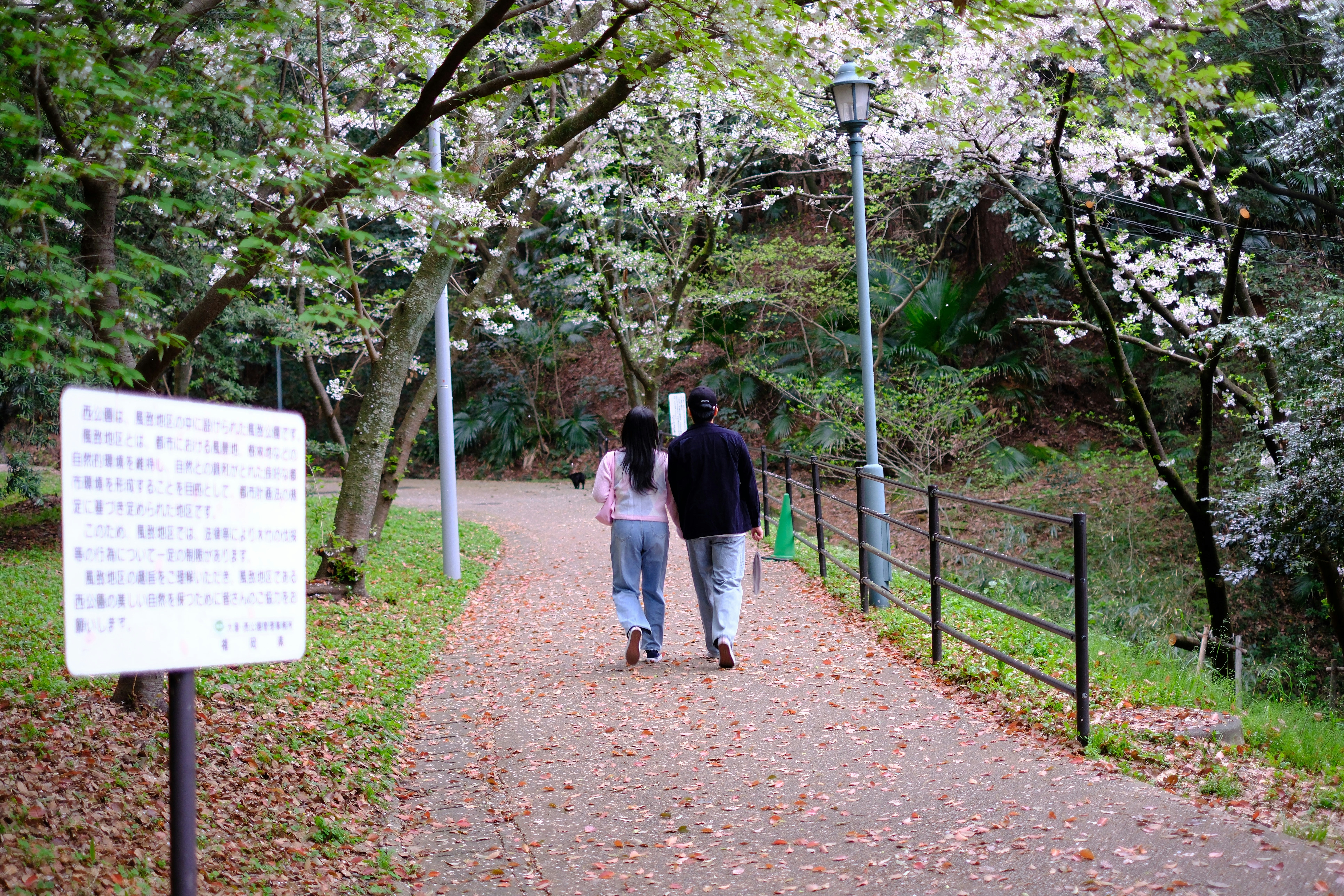 Couple Strolling a Leaf-Filled Park Path
