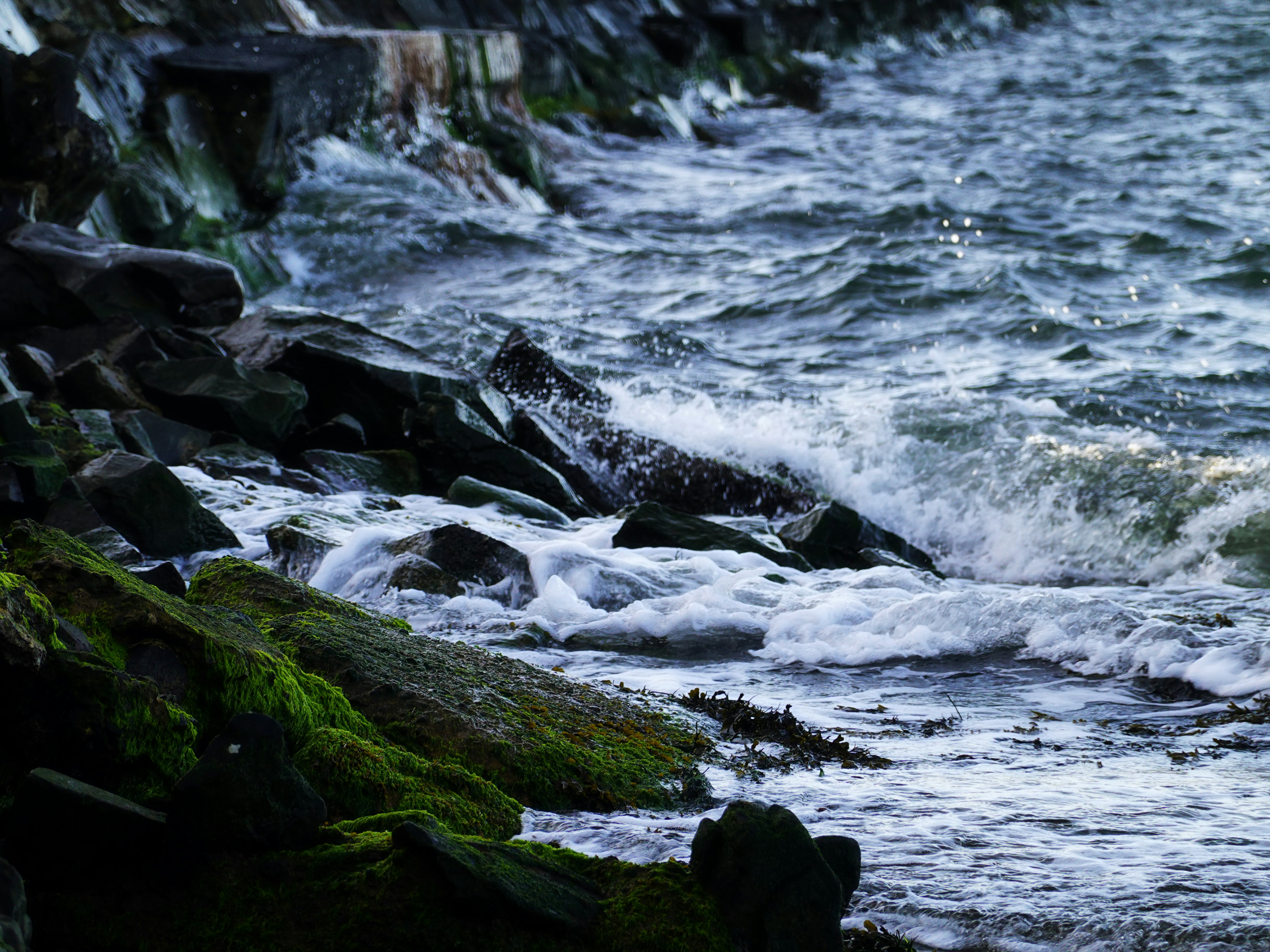 Mossy Rocks Meet Lapping Coasts at Dusk