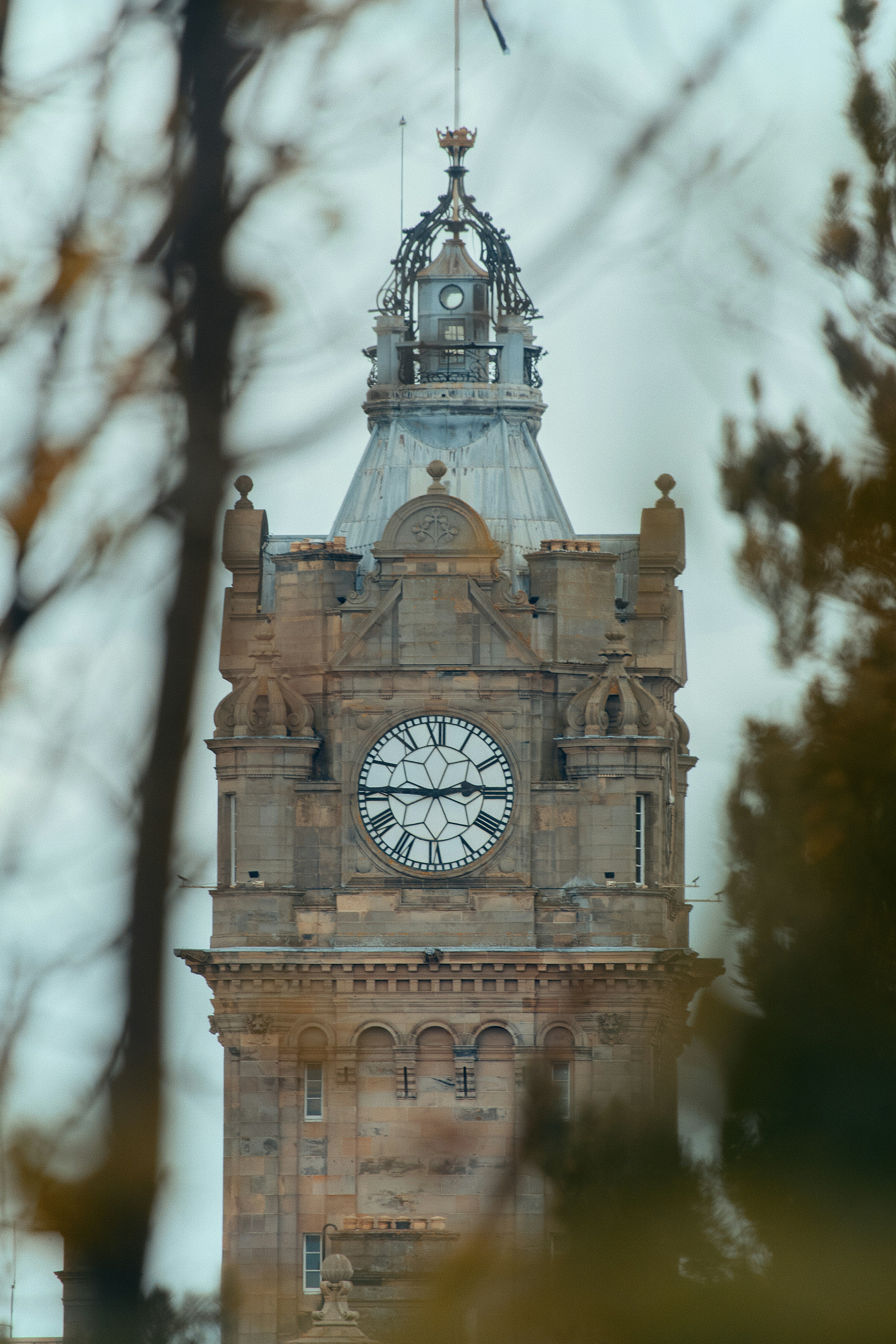 Timekeeper Among Trees: A Clock Tower Rising Through the Foliage