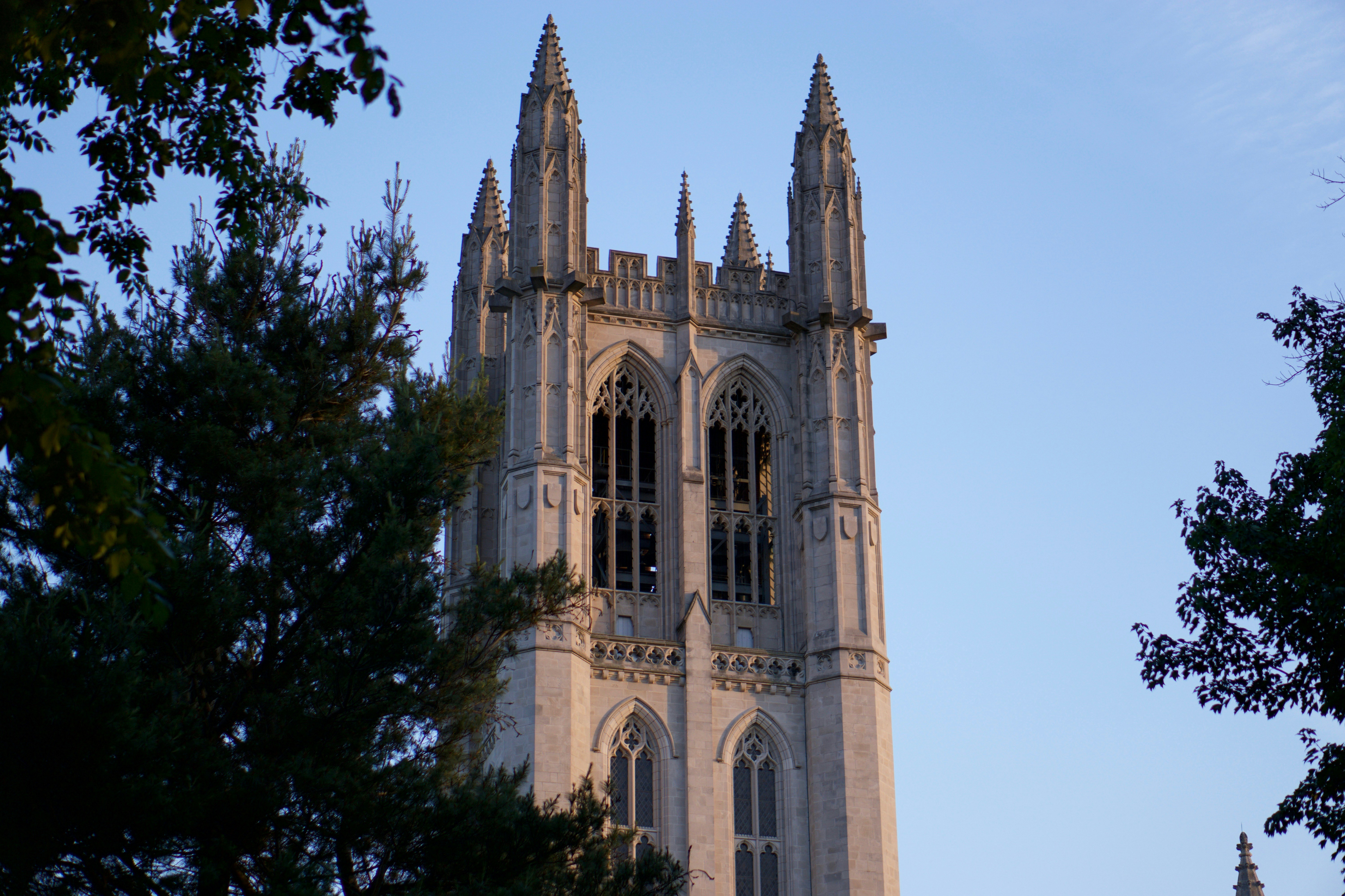 Gothic Spire Soaring Above Quiet Foliage
