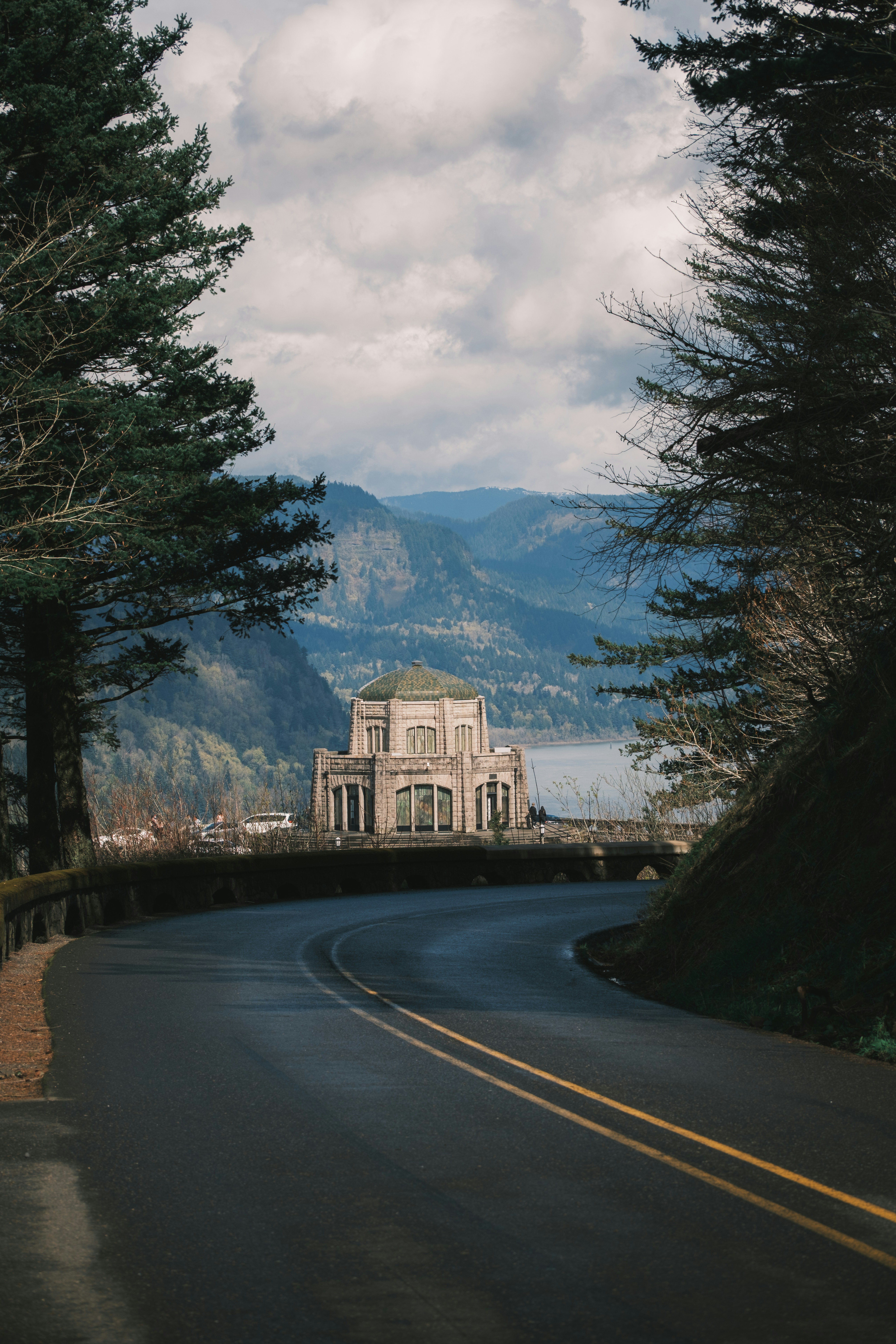 Road to the Lake Temple: A Narrow Drive Through Framing Pines