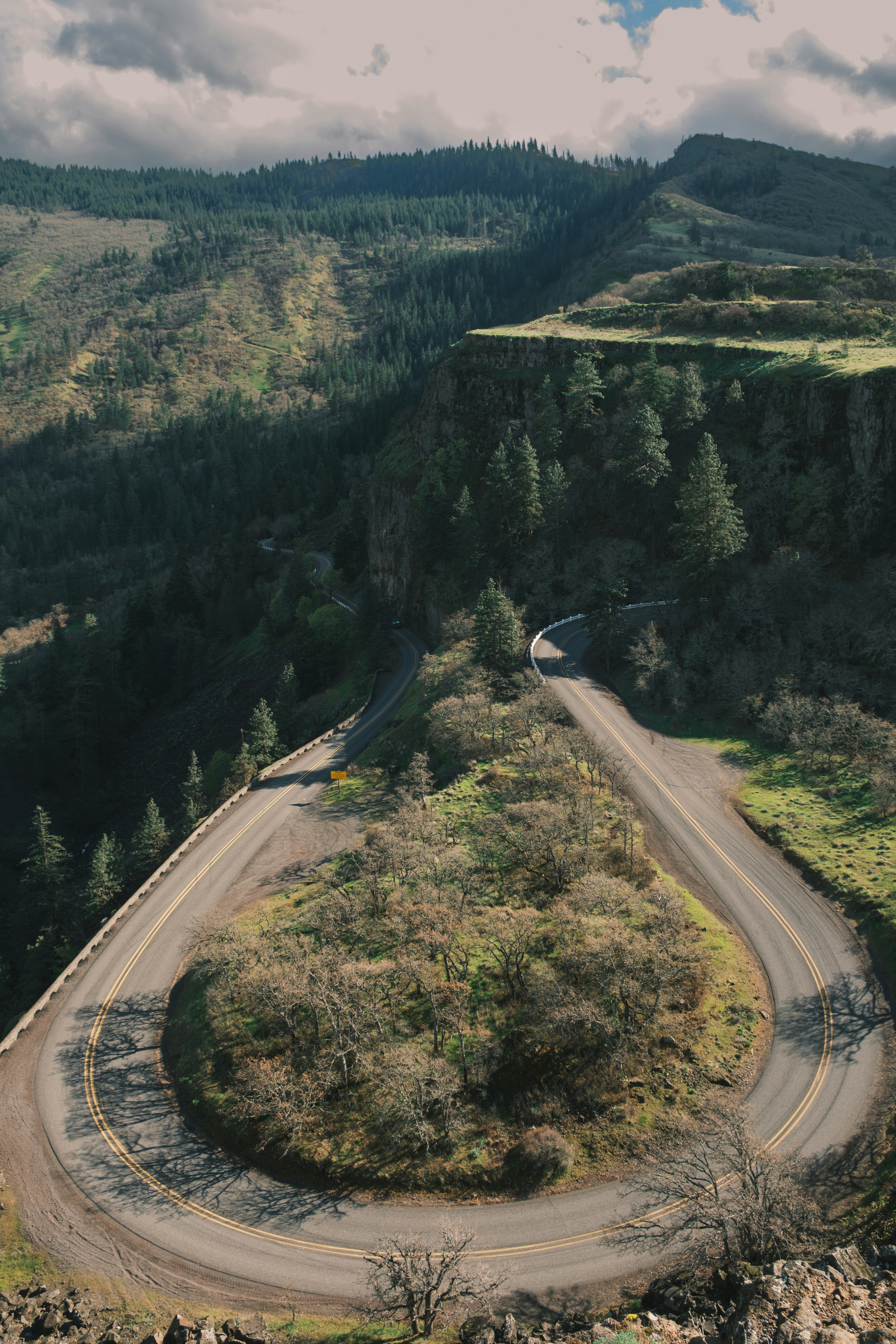 Serpentine Summit: A Ribbon Road Through Pines and Cliff in Dappled Light