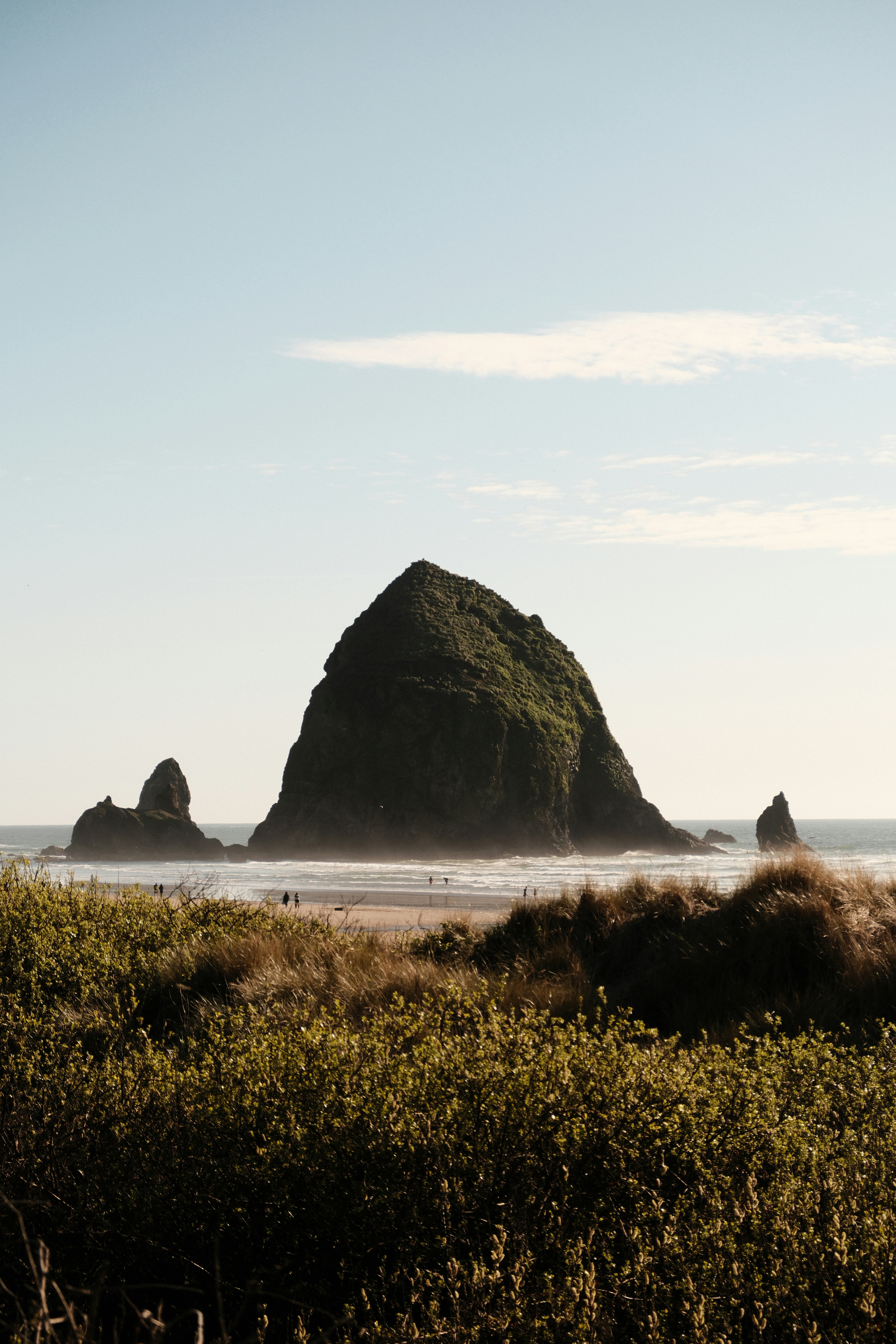 Sea Stack Sentinel at Distant Shore