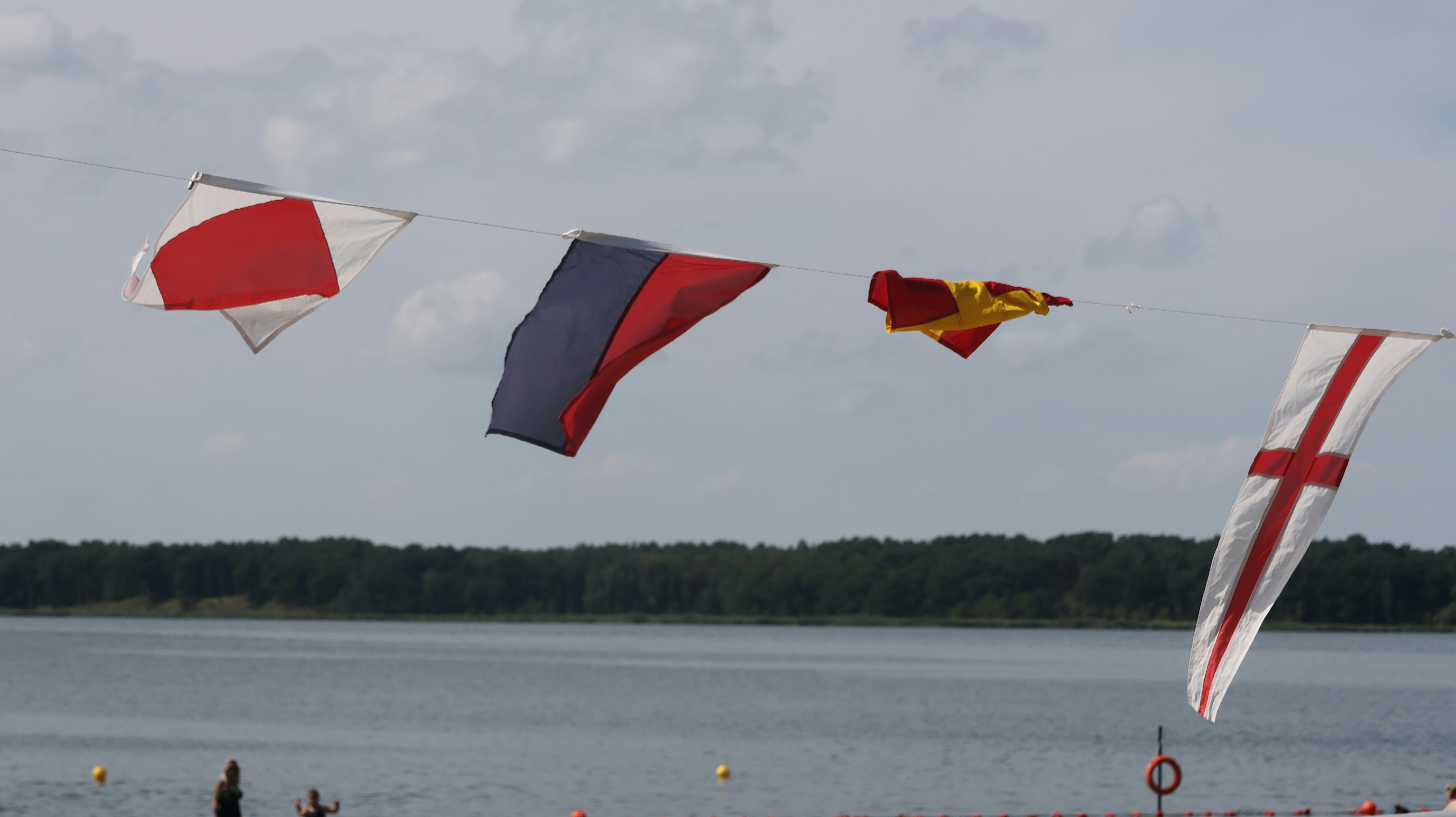 Kites over tranquil waters: a line of pennants dancing above the bay