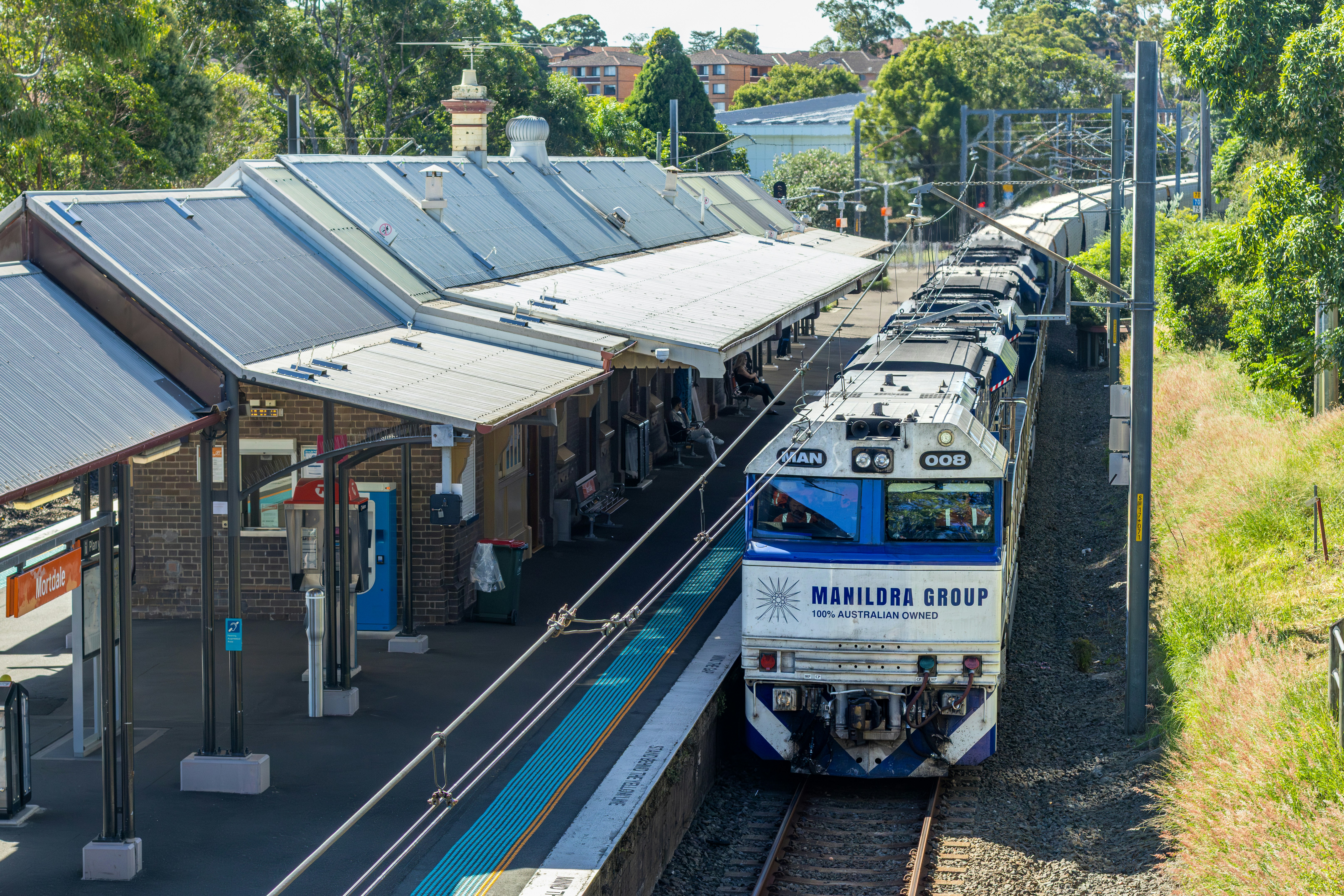 Commute Under the Canopy: A Train at the Quiet Platform