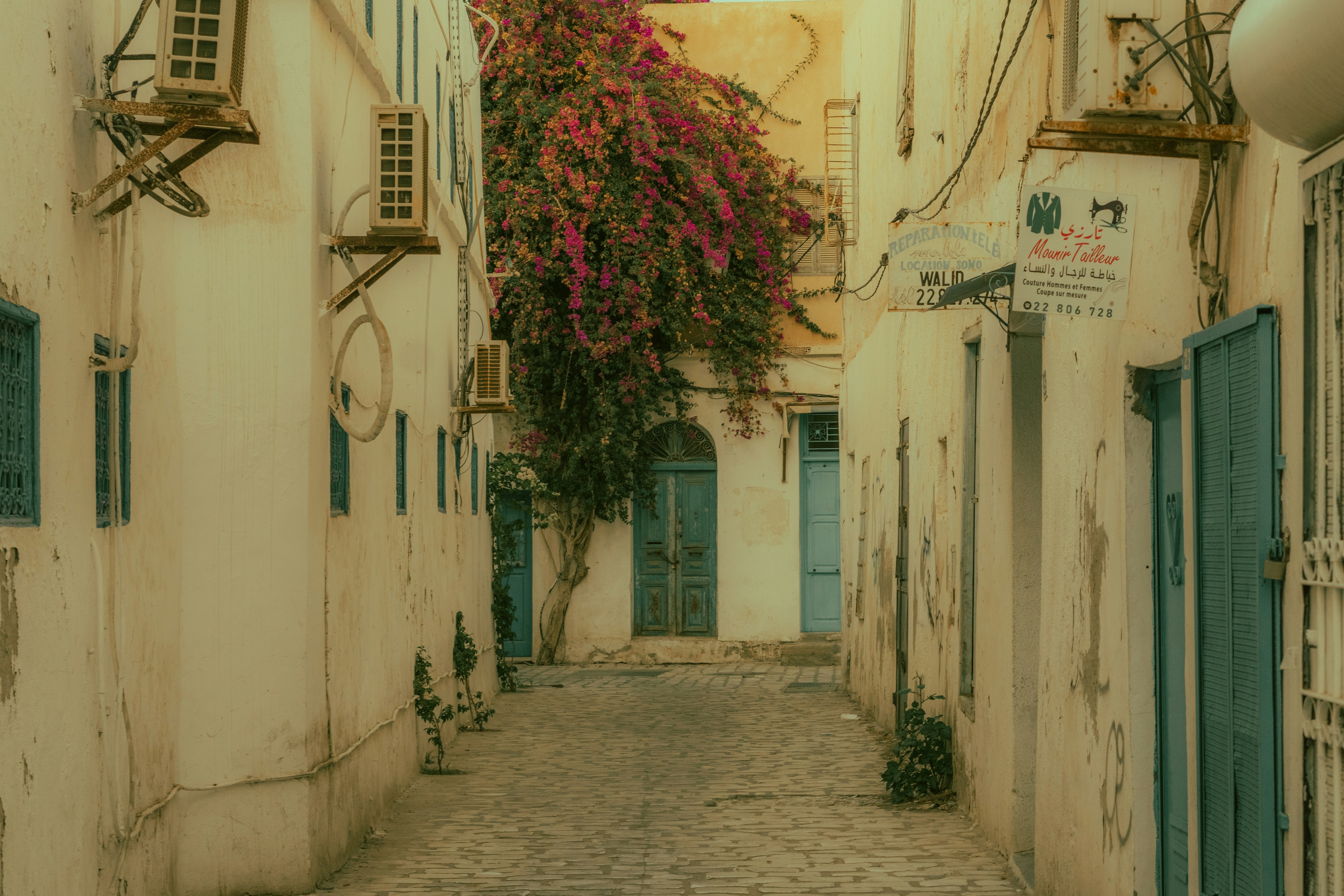 Sunlit Alleyway with Bougainvillea Archway