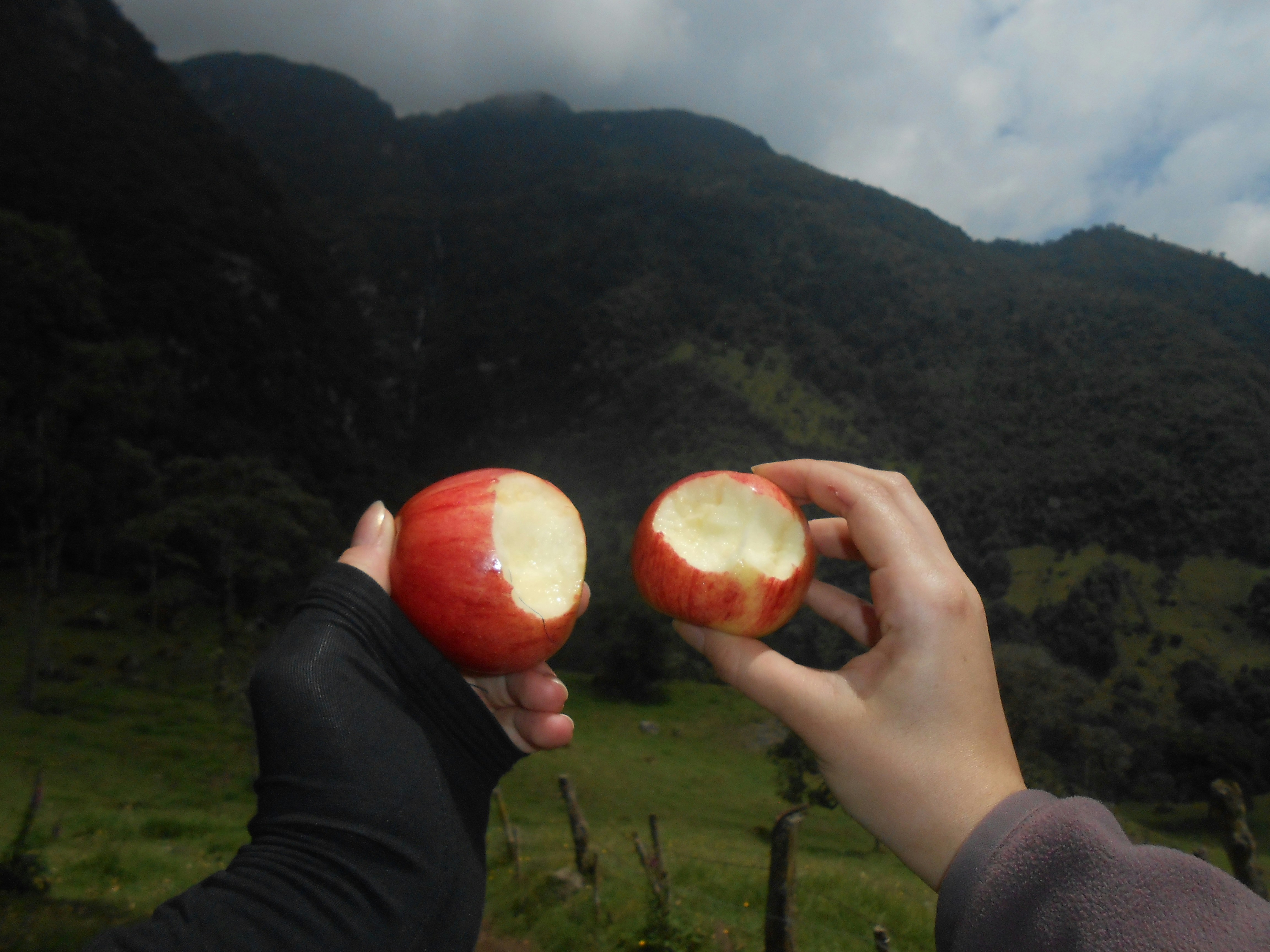 Two Hands, One Red Apple: A Mountain Backdrop Bite