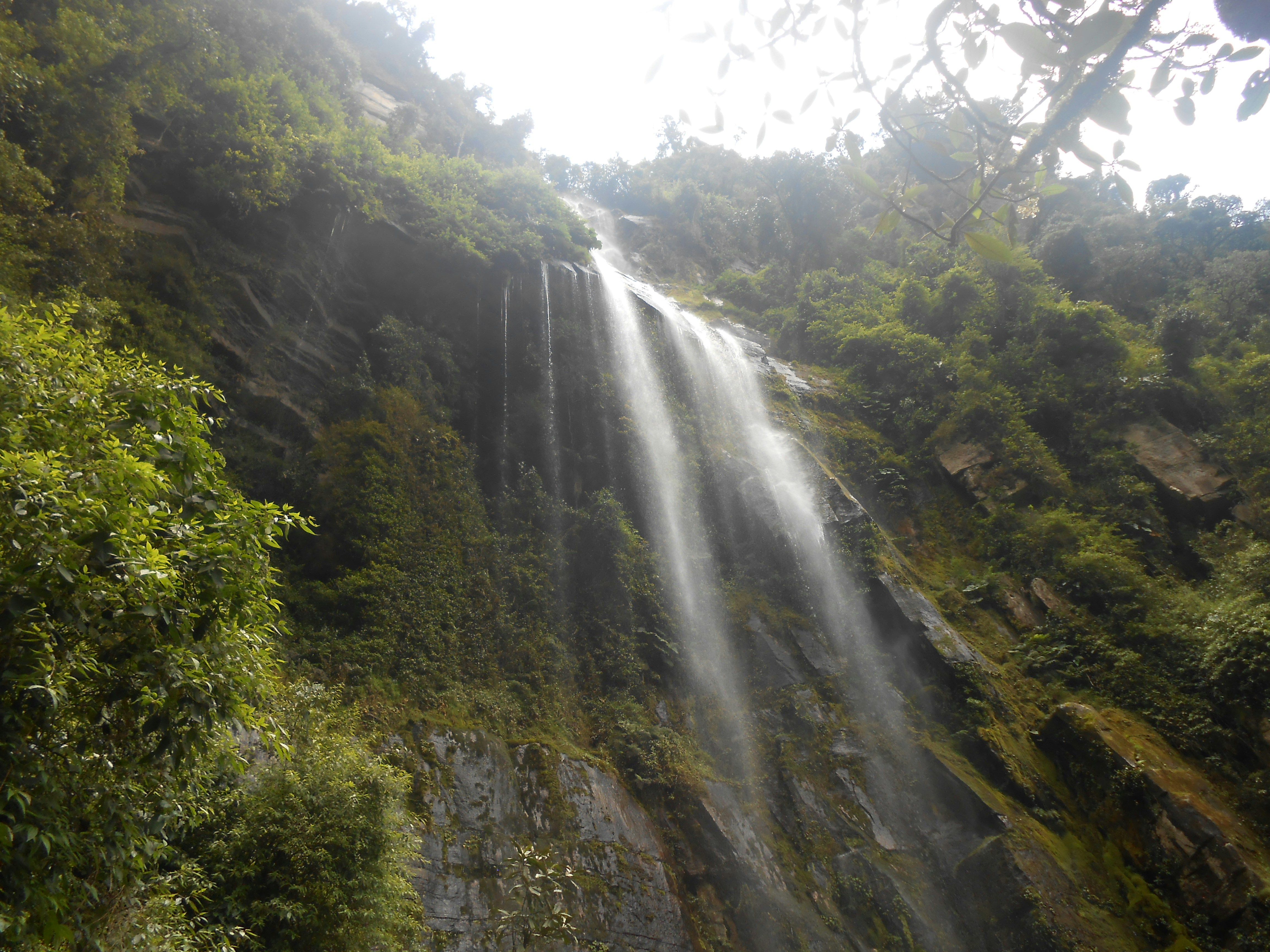Cascade Curtain: A Golden Veil Over Mossy Cliffs