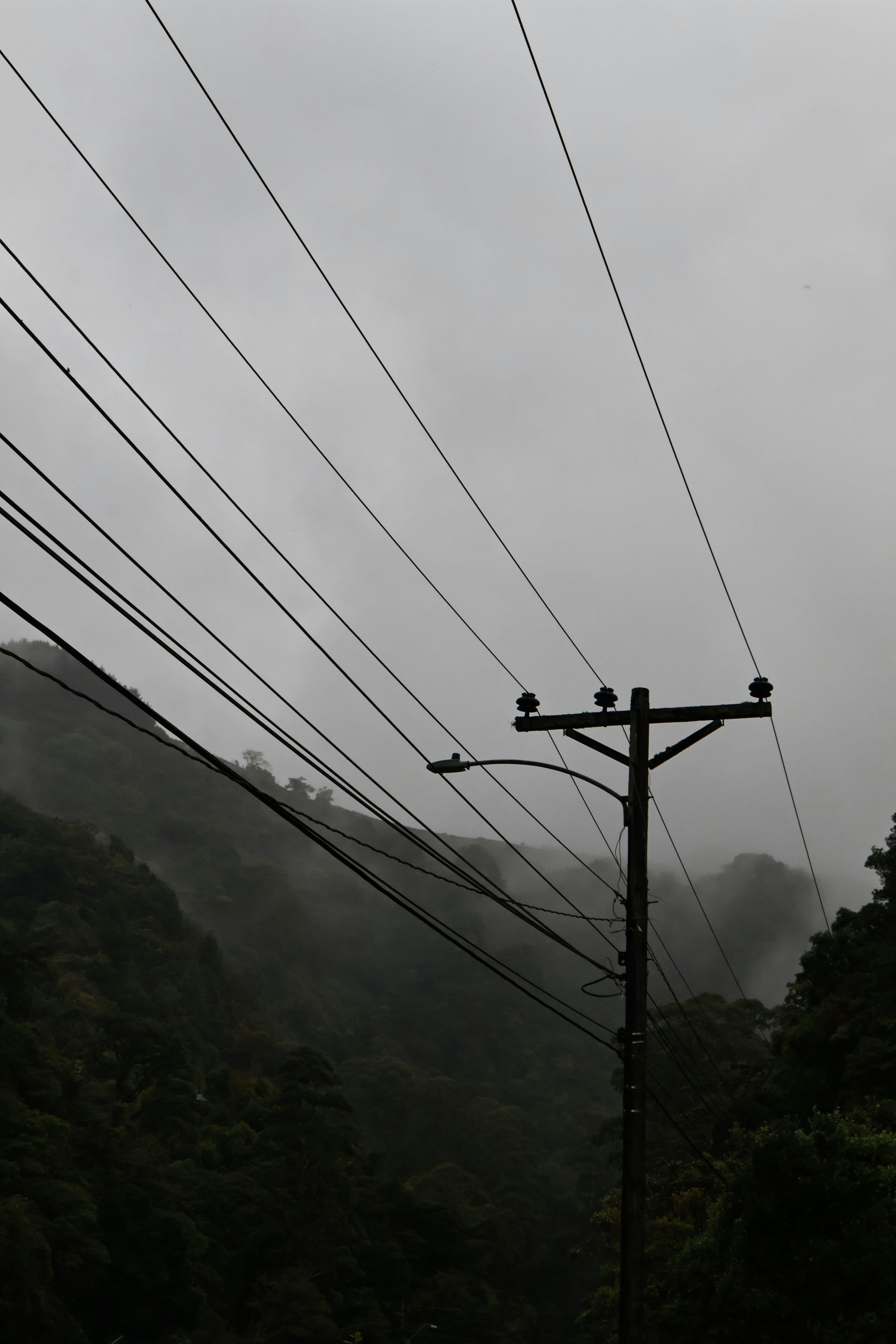 Overhead Lines Cutting Through Misty Valley