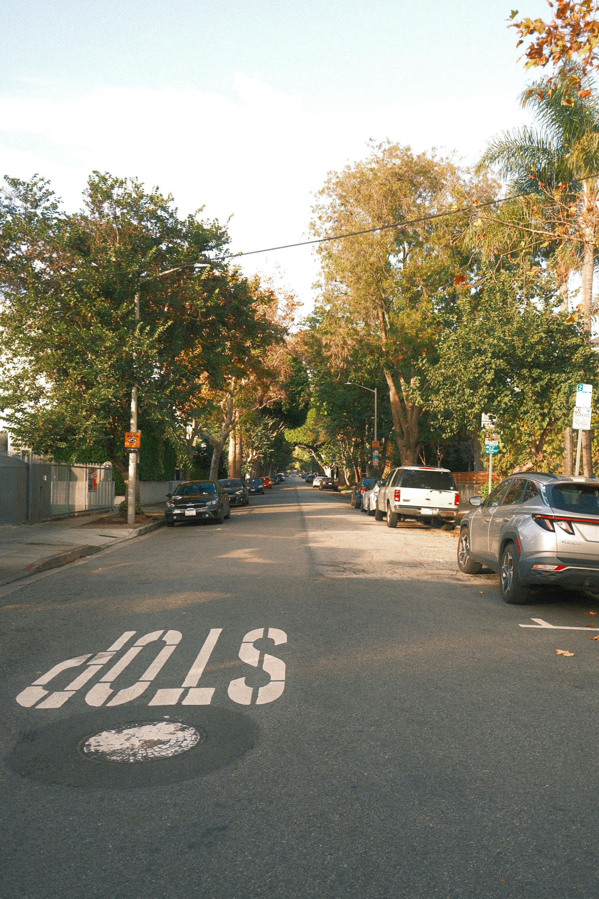 Street View on a Quiet Riverside Avenue at Dusk