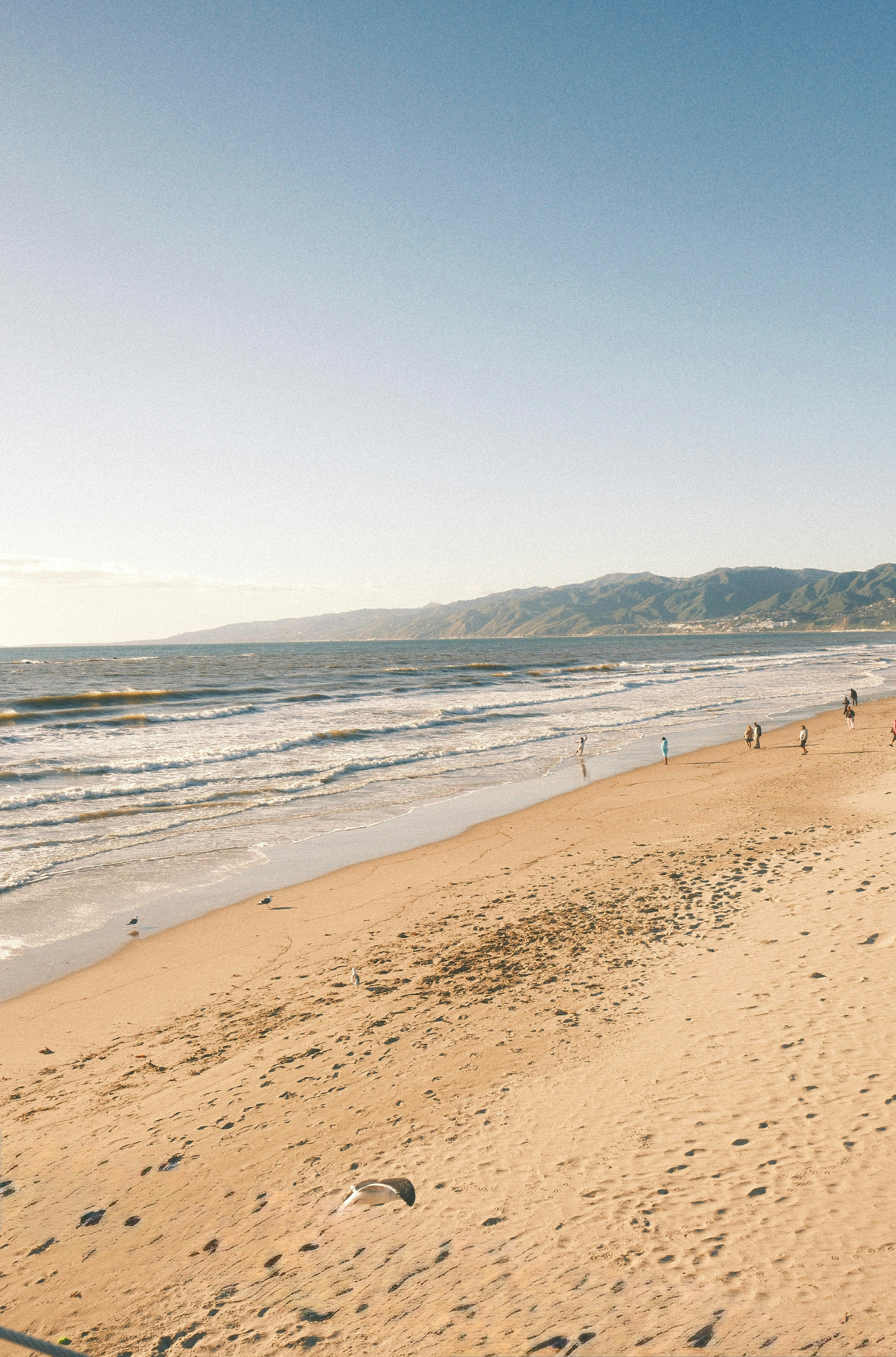 Golden Shoreline Under a Calm Horizon