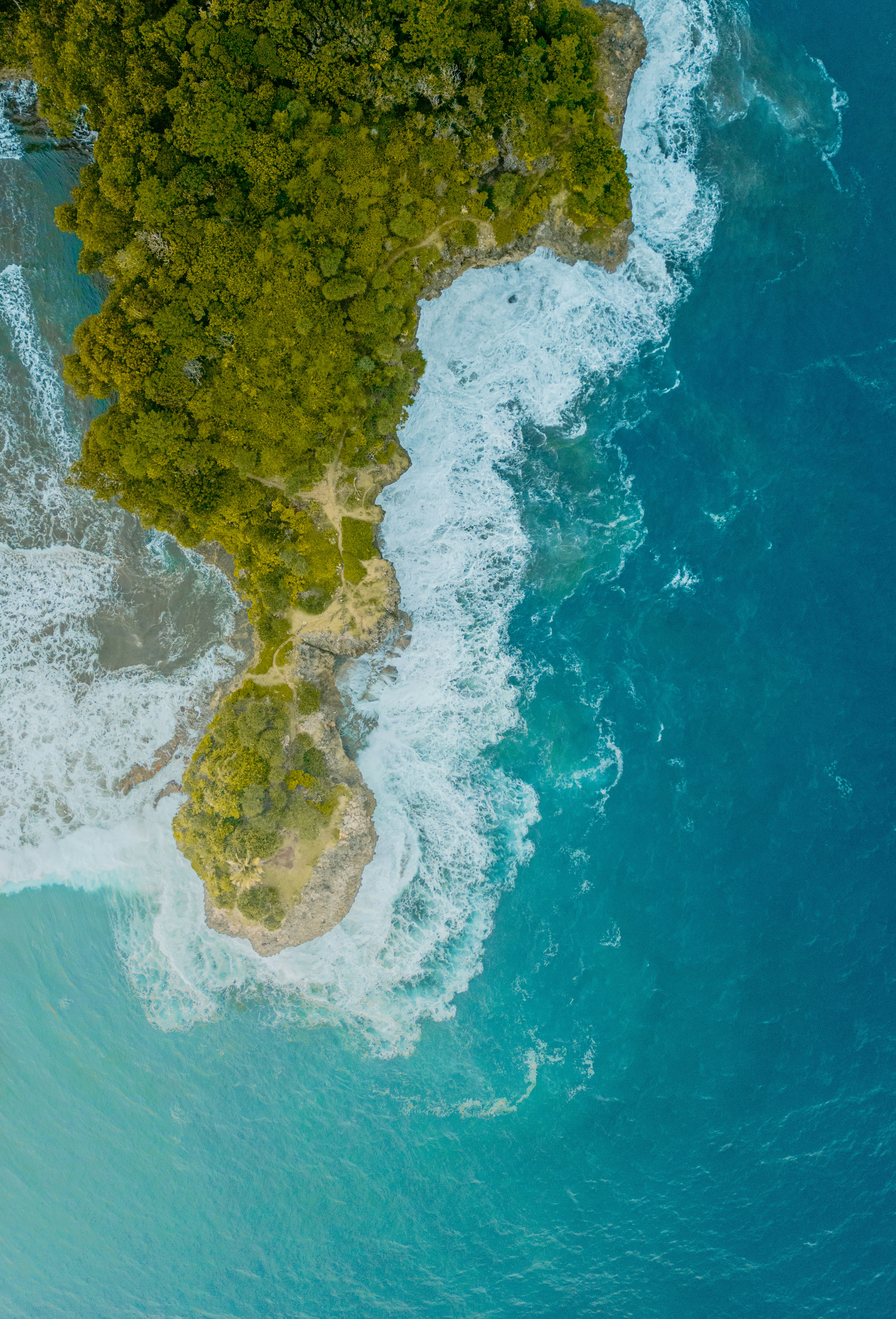 Verdant Promontory meeting the Serene Blue: Aerial coastlines drenched in turquoise